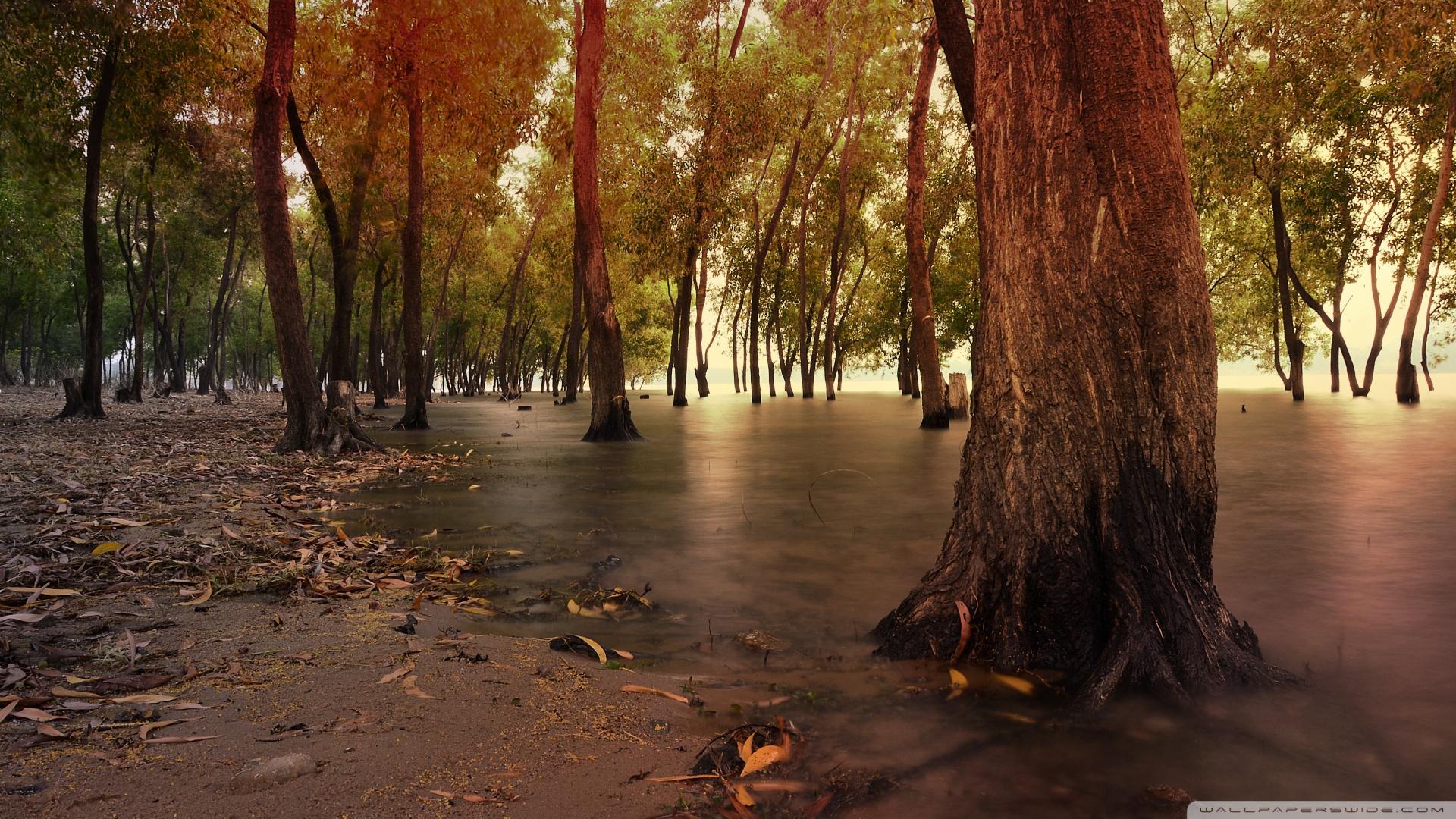 Waterscape Wallpapers - Top Free Waterscape Backgrounds - WallpaperAccess