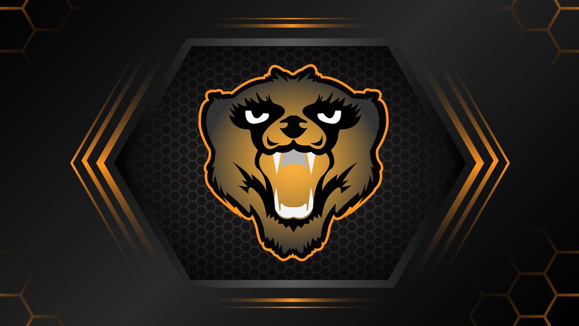 Bear Symbol Wallpapers - Top Free Bear Symbol Backgrounds - WallpaperAccess