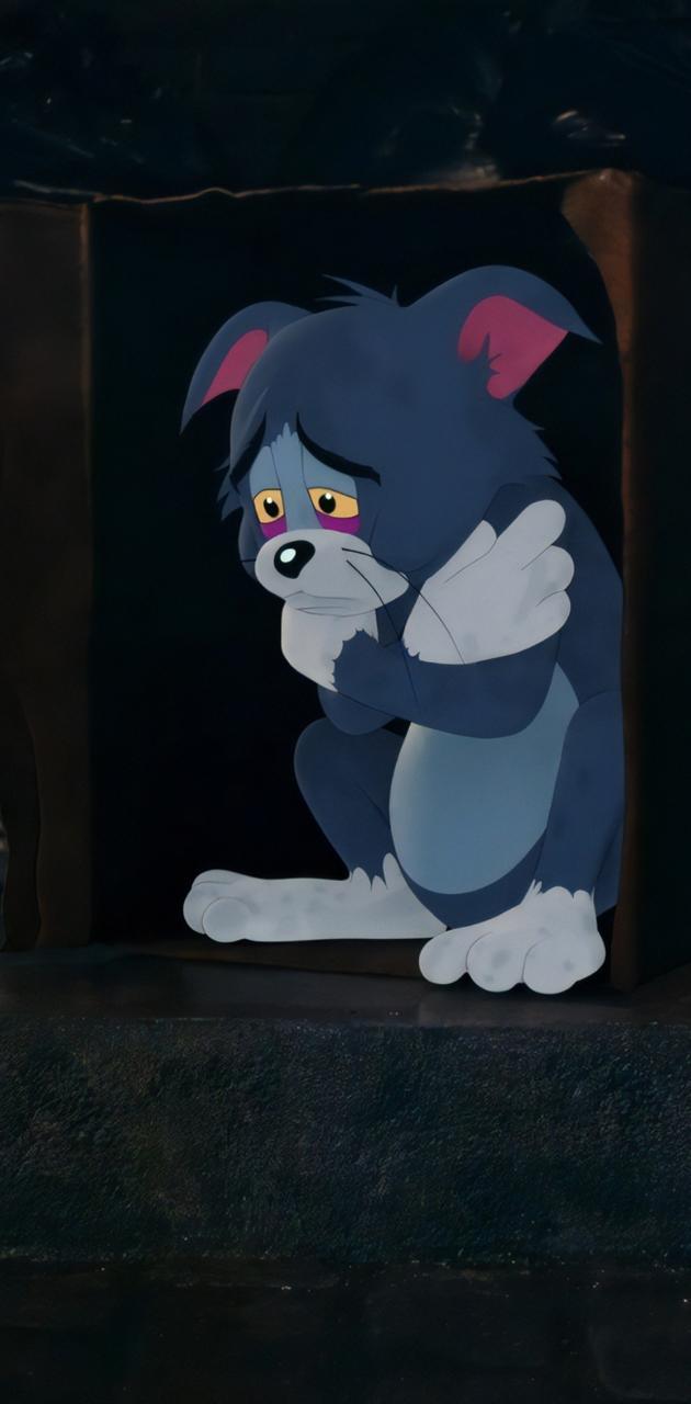 Tom Cat Wallpapers - Top Free Tom Cat Backgrounds - WallpaperAccess