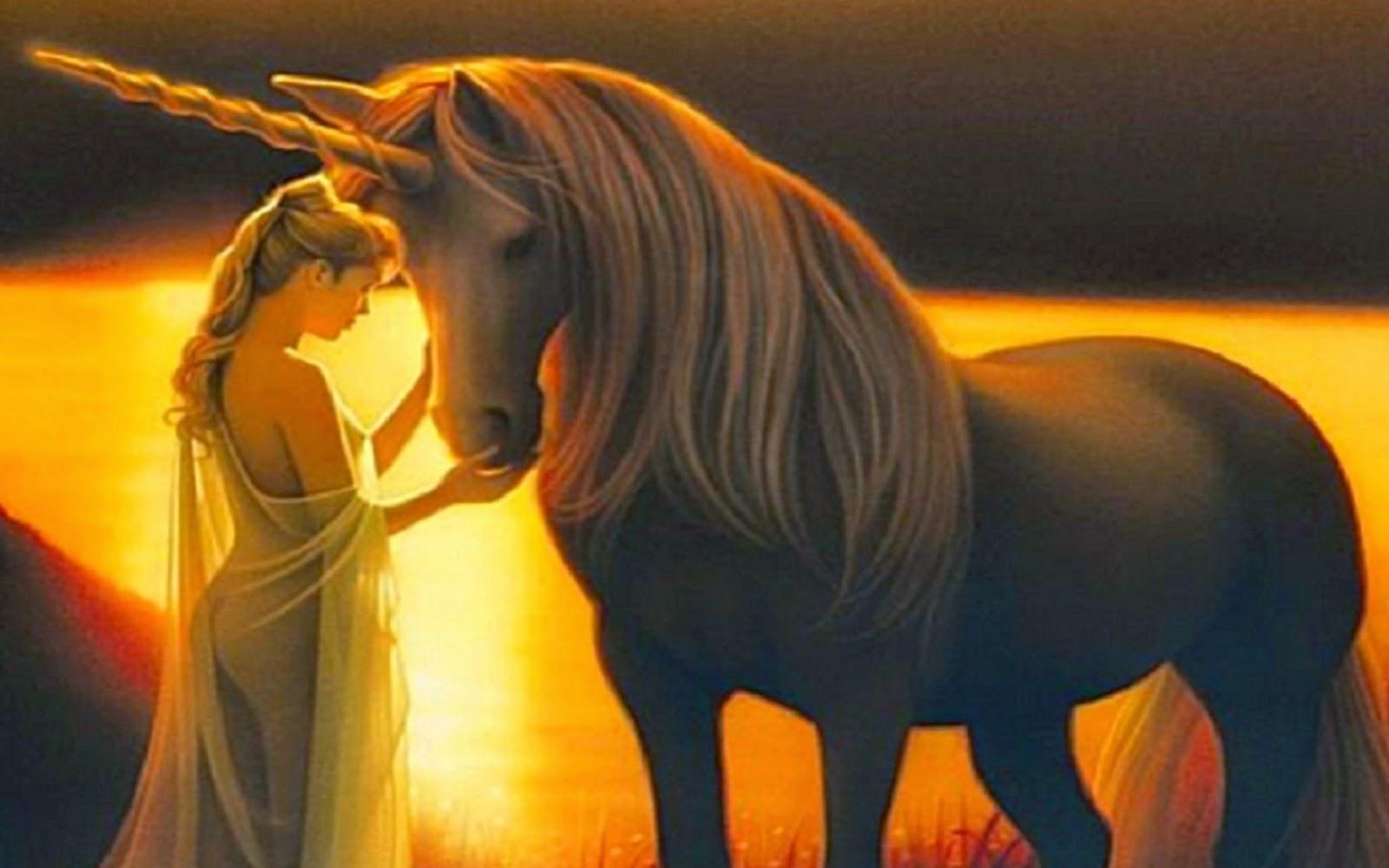 Girly Horse Wallpapers - Top Free Girly Horse Backgrounds - WallpaperAccess