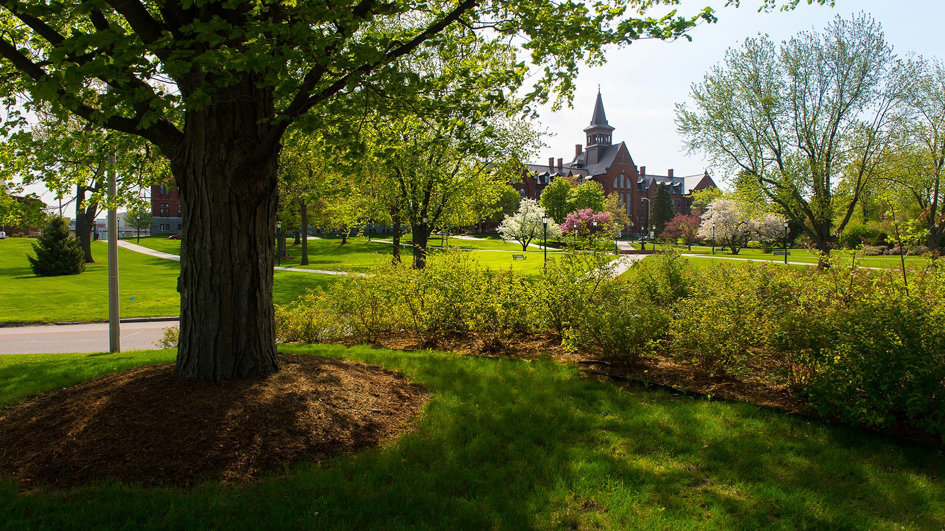 Spring in Vermont Wallpapers - Top Free Spring in Vermont Backgrounds ...