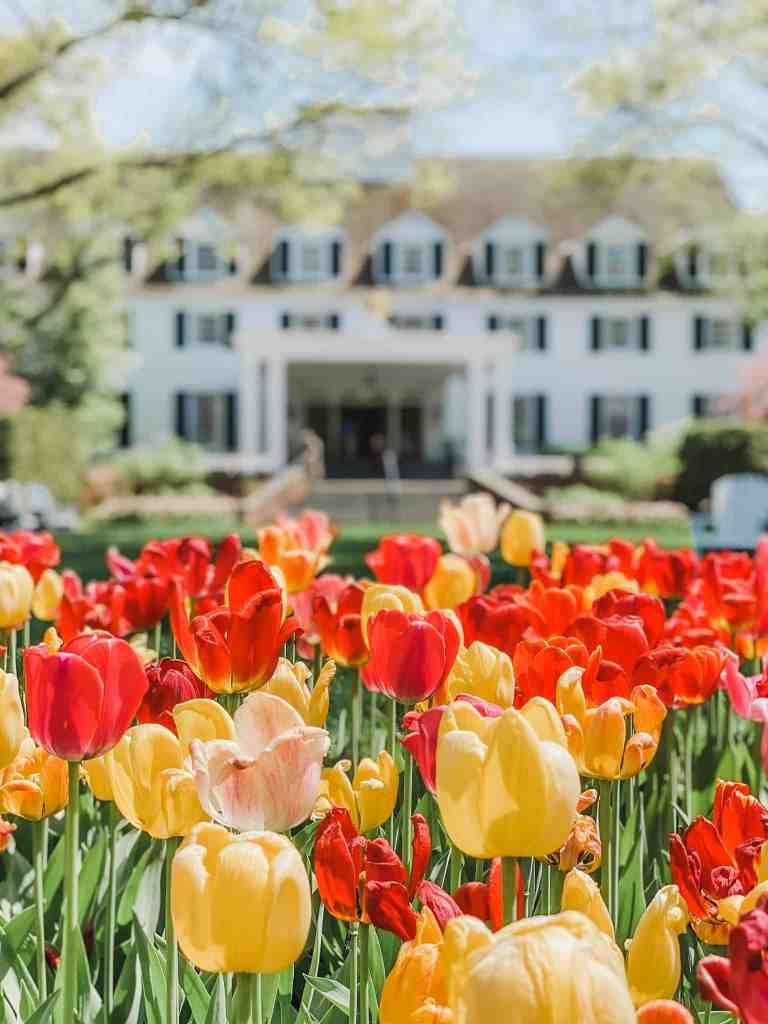 Spring in Vermont Wallpapers - Top Free Spring in Vermont Backgrounds ...