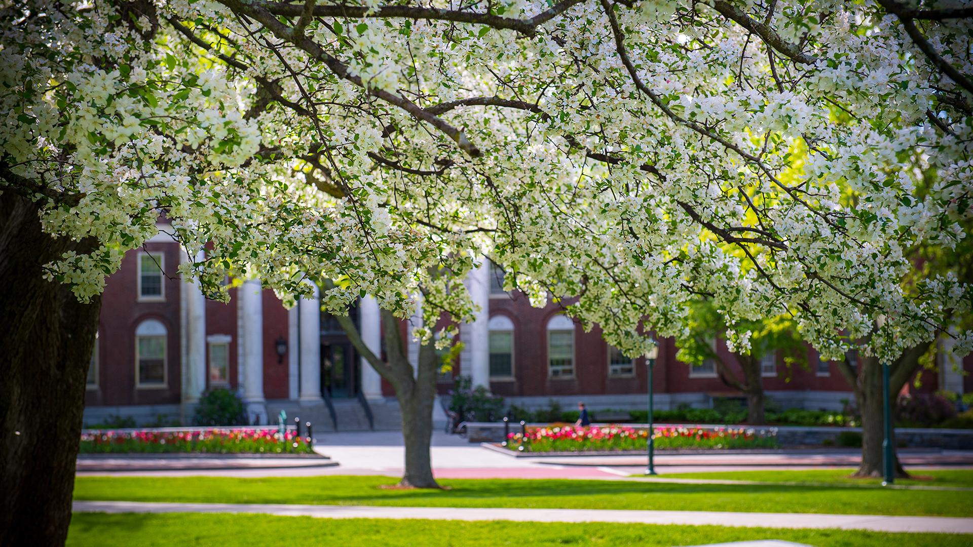 Spring in Vermont Wallpapers - Top Free Spring in Vermont Backgrounds ...