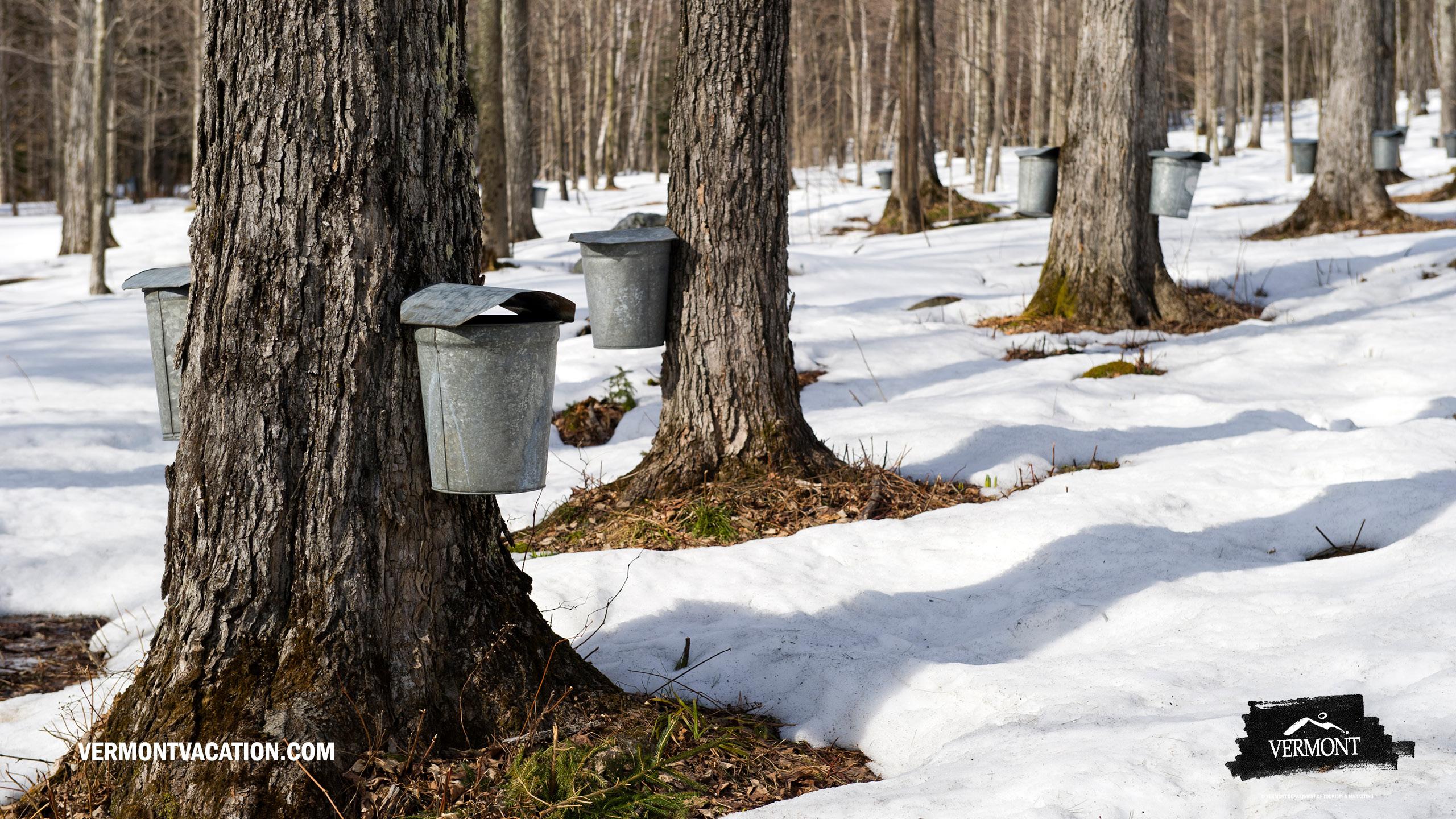 Spring in Vermont Wallpapers - Top Free Spring in Vermont Backgrounds ...