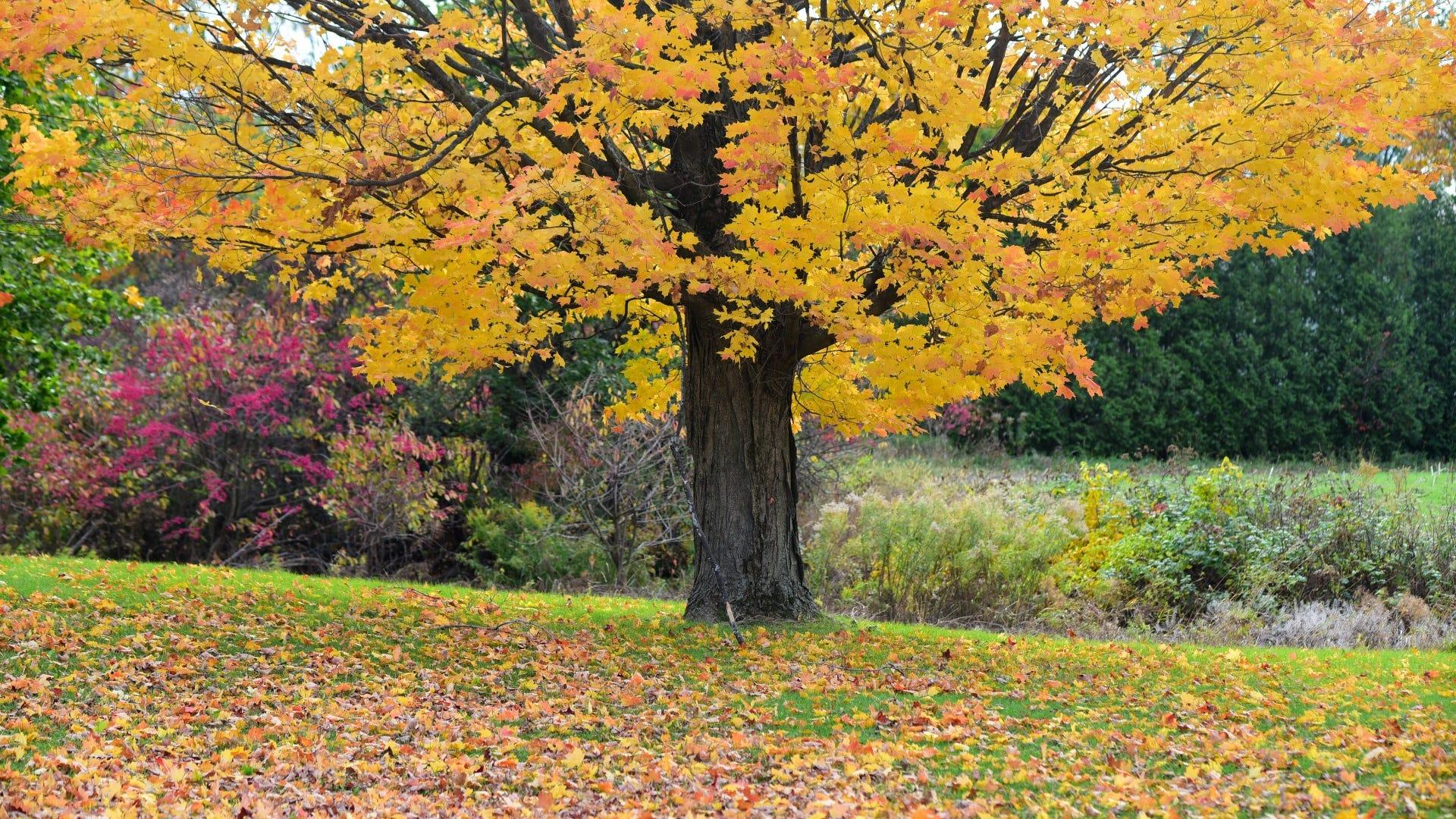 Spring in Vermont Wallpapers - Top Free Spring in Vermont Backgrounds ...