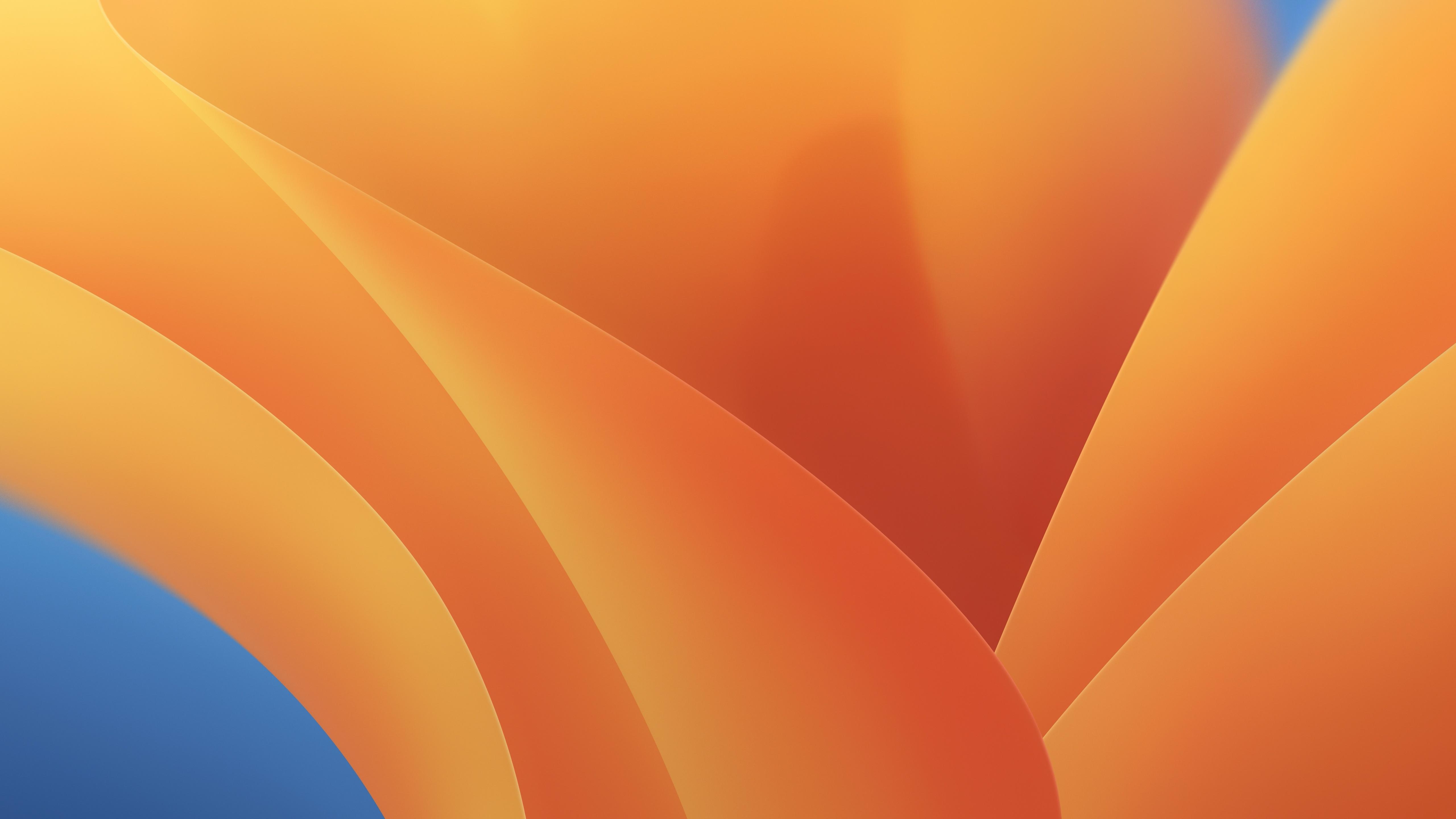 macOS 4k Wallpapers - Top Free macOS 4k Backgrounds - WallpaperAccess