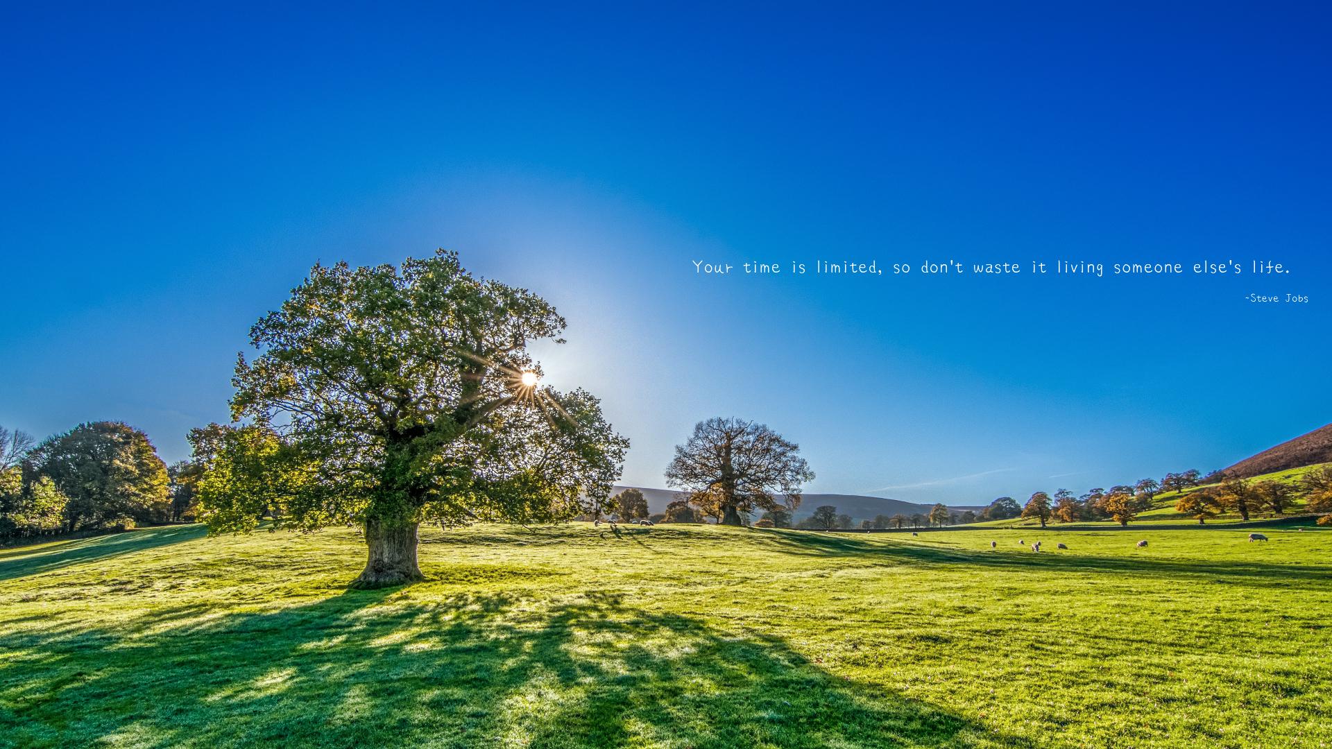 Don't Waste Time Wallpapers - Top Free Don't Waste Time Backgrounds ...