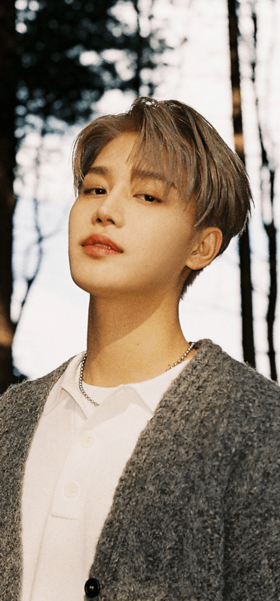 NCT Taeil Wallpapers - Top Free NCT Taeil Backgrounds - WallpaperAccess