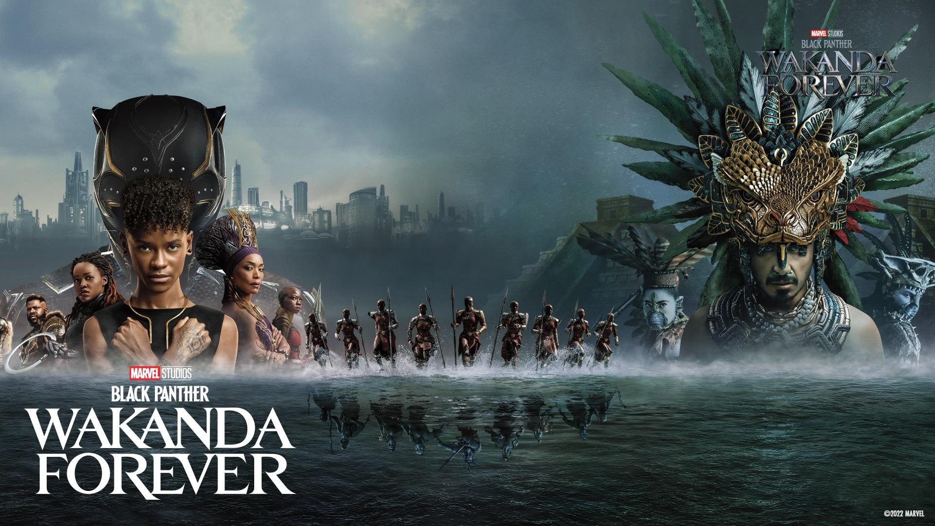 Wakanda HD Wallpapers - Top Free Wakanda HD Backgrounds - WallpaperAccess