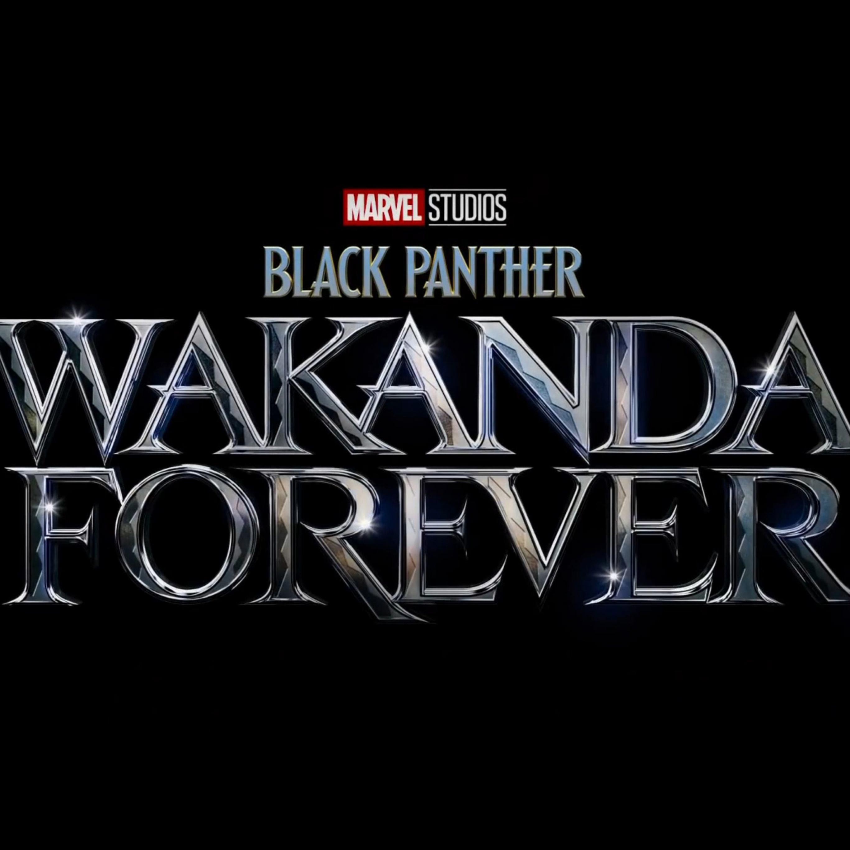 Wakanda HD Wallpapers - Top Free Wakanda HD Backgrounds - WallpaperAccess