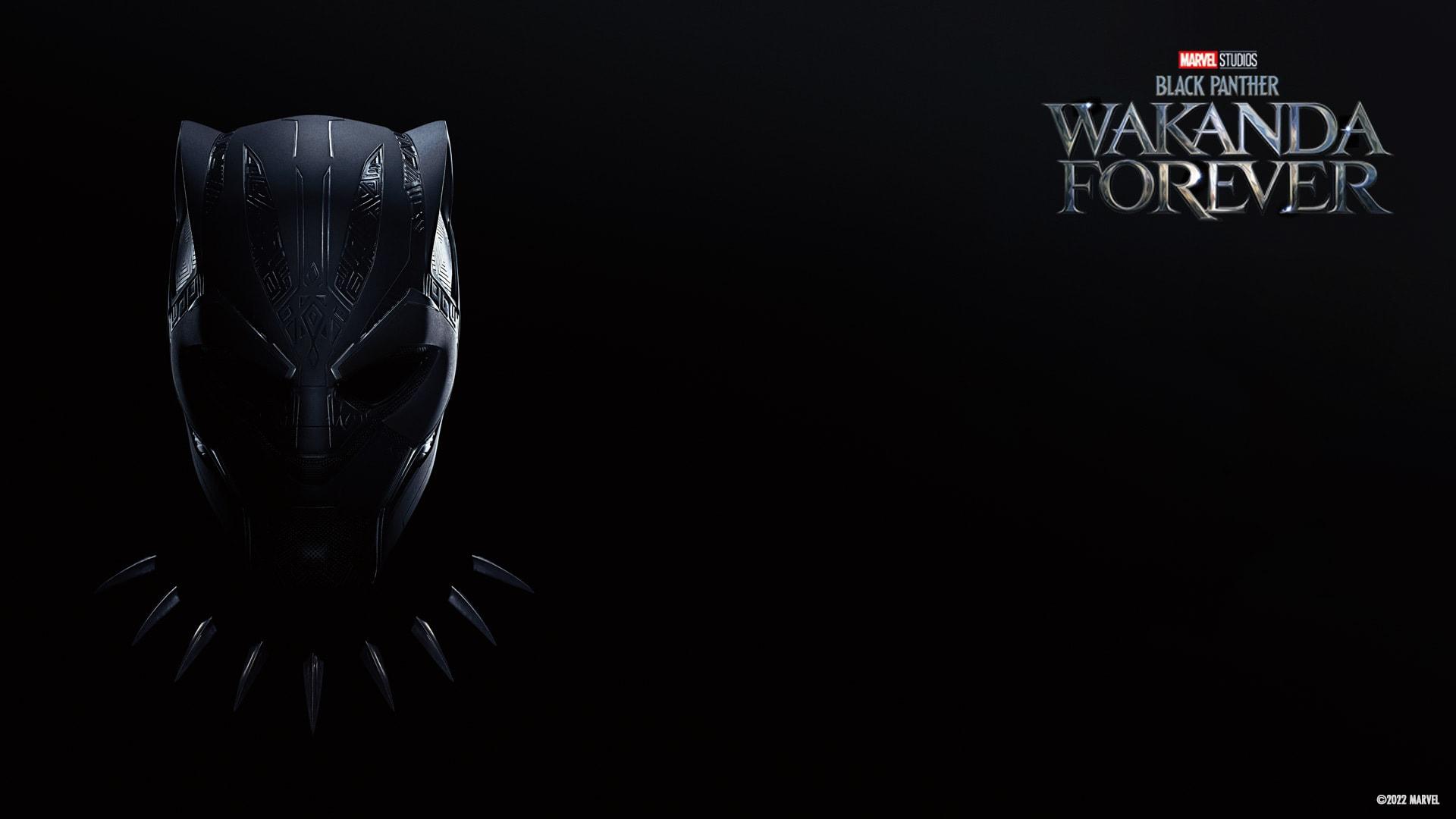 Wakanda HD Wallpapers - Top Free Wakanda HD Backgrounds - WallpaperAccess