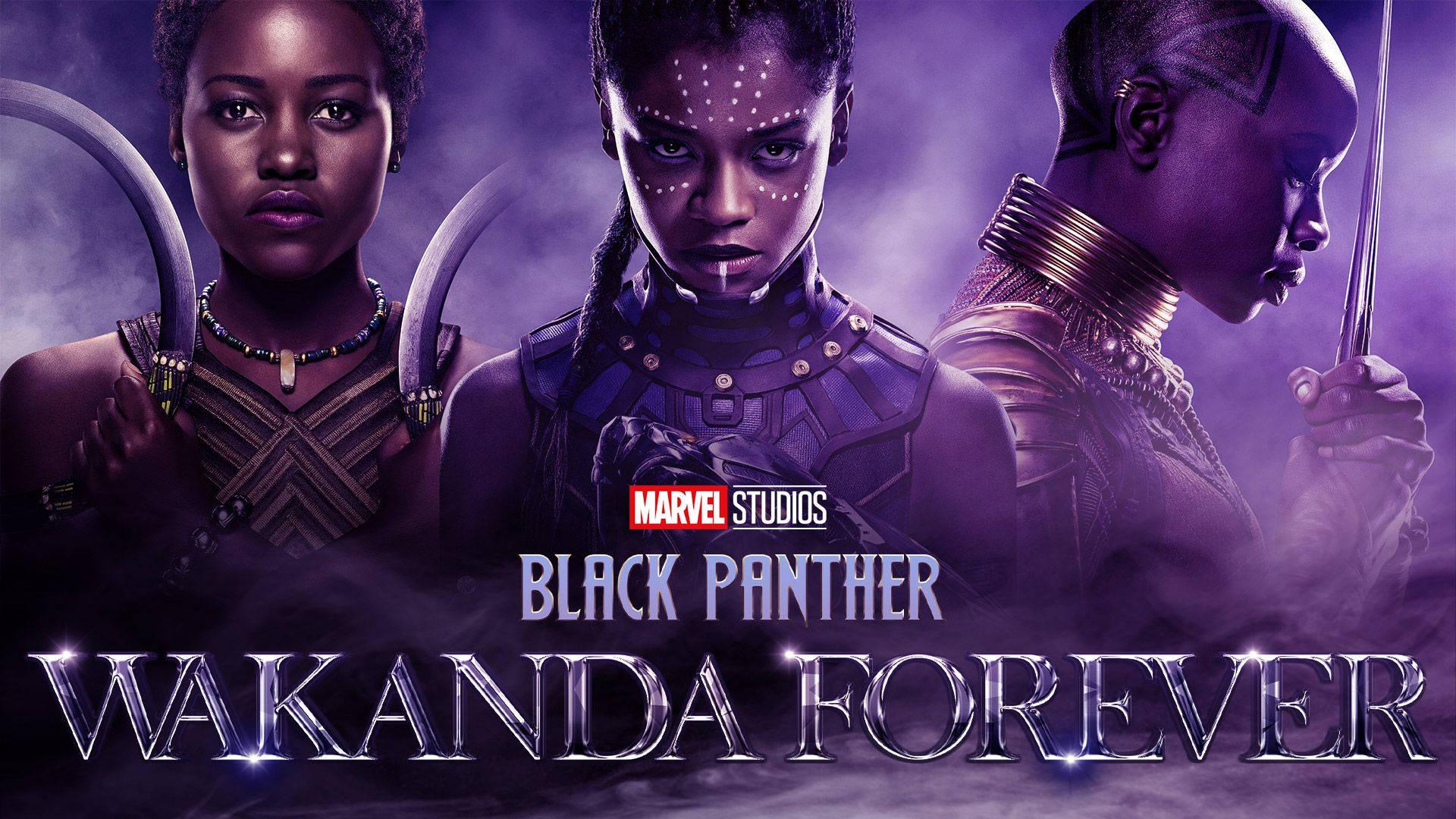 Wakanda HD Wallpapers - Top Free Wakanda HD Backgrounds - WallpaperAccess