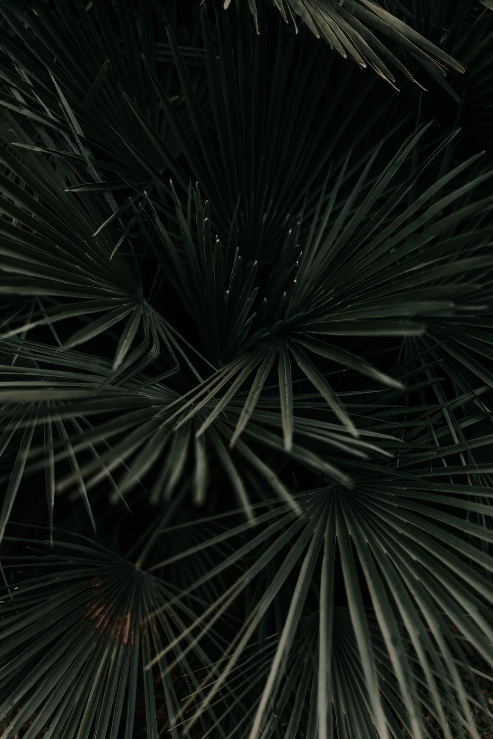 Samsung Dark Wallpapers - Top Free Samsung Dark Backgrounds ...