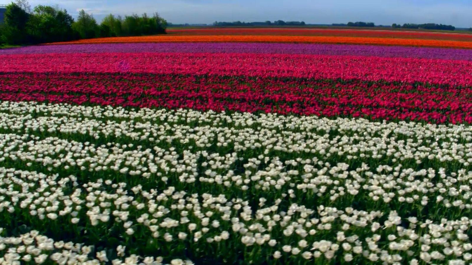 National Geographic Spring Wallpapers - Top Free National Geographic ...