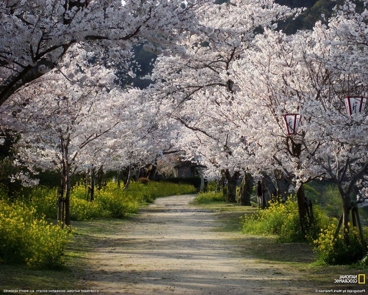 National Geographic Spring Wallpapers - Top Free National Geographic ...