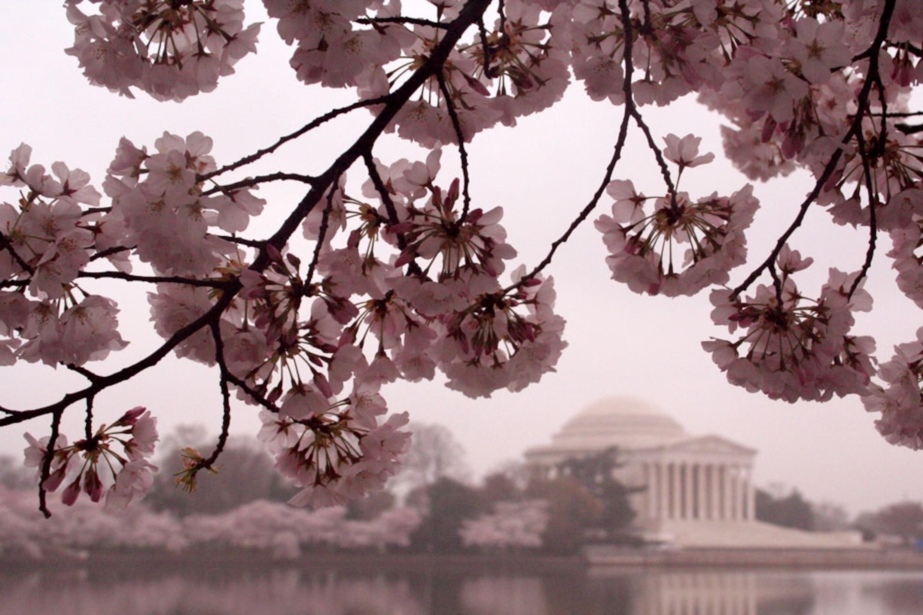 National Geographic Spring Wallpapers - Top Free National Geographic ...