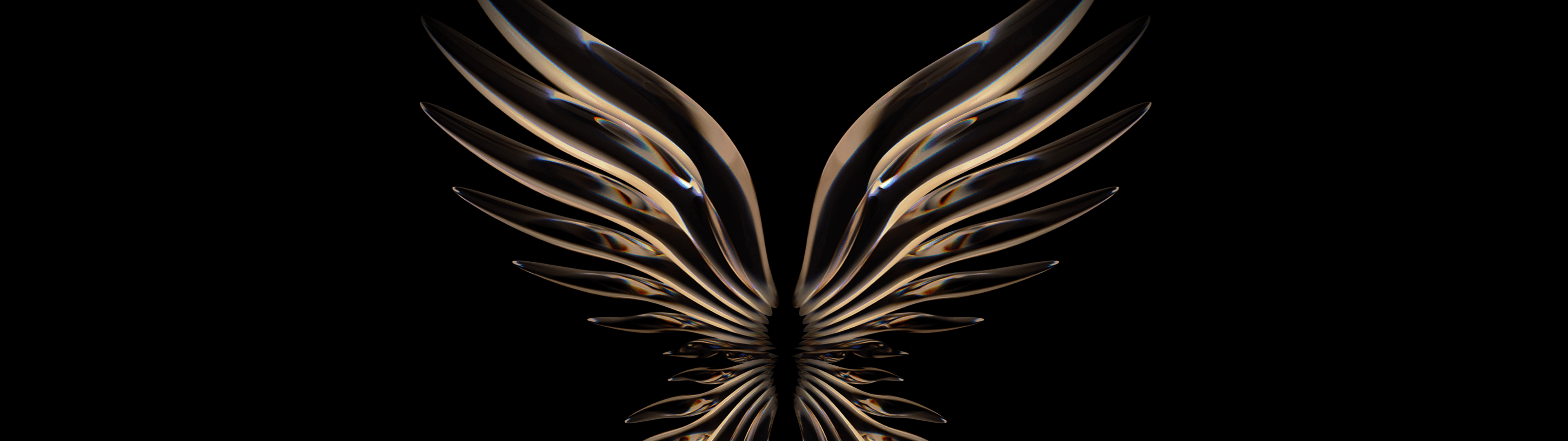 Wings Desktop Wallpapers - Top Free Wings Desktop Backgrounds ...