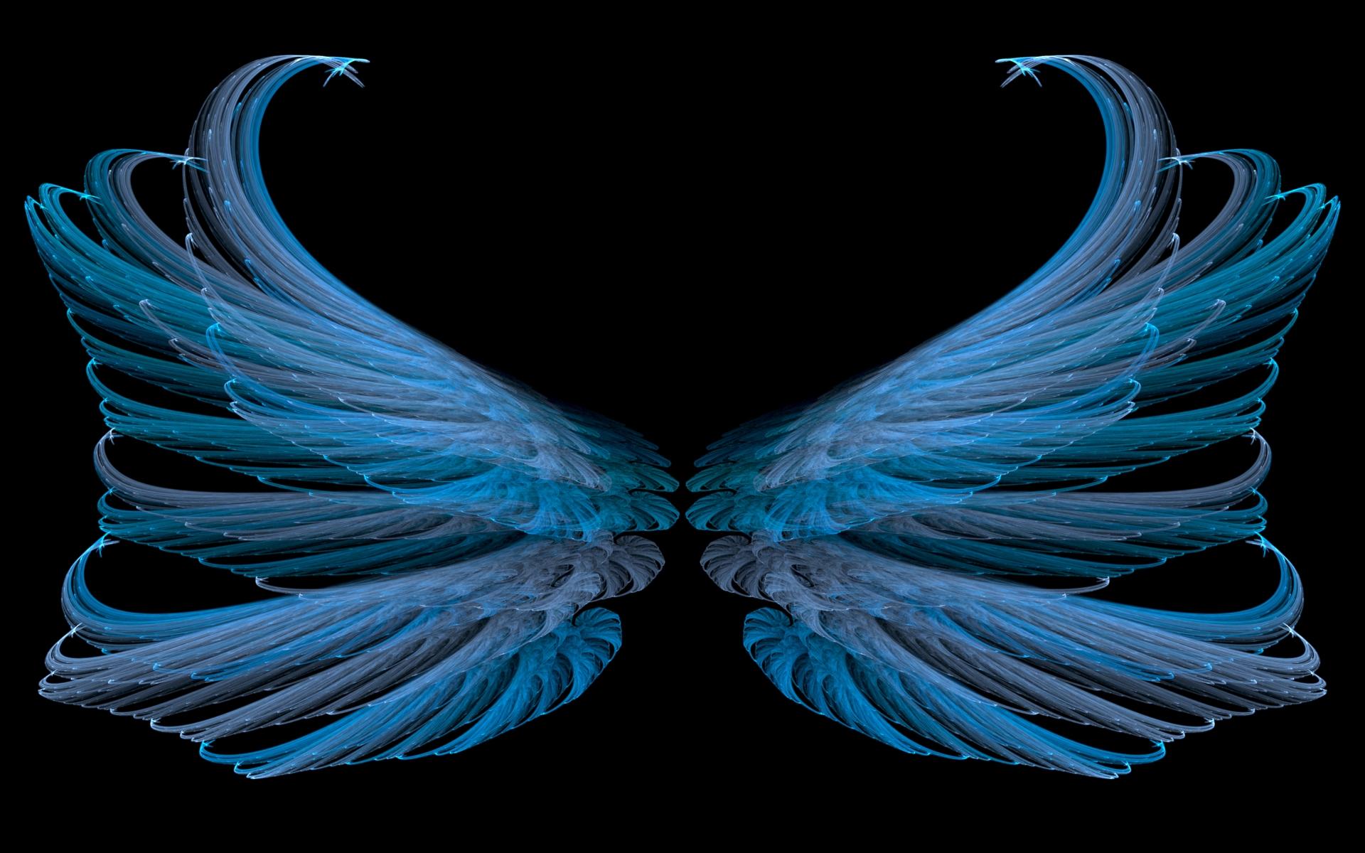Wings Desktop Wallpapers - Top Free Wings Desktop Backgrounds ...