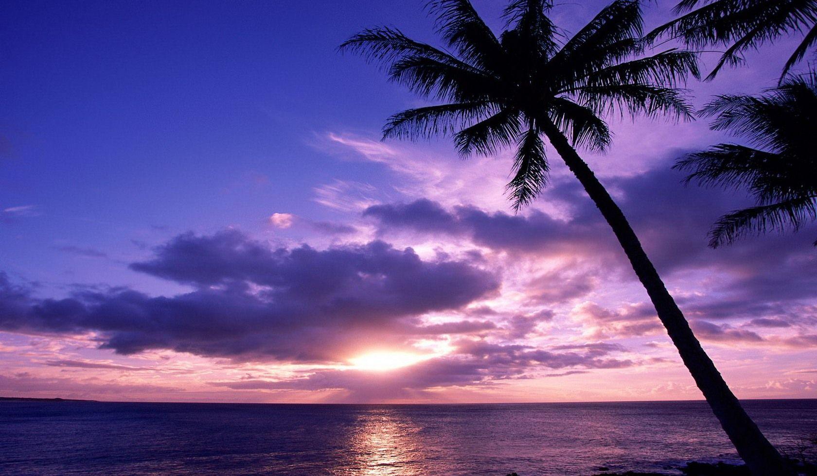 Purple Beach Desktop Wallpapers - Top Free Purple Beach Desktop ...