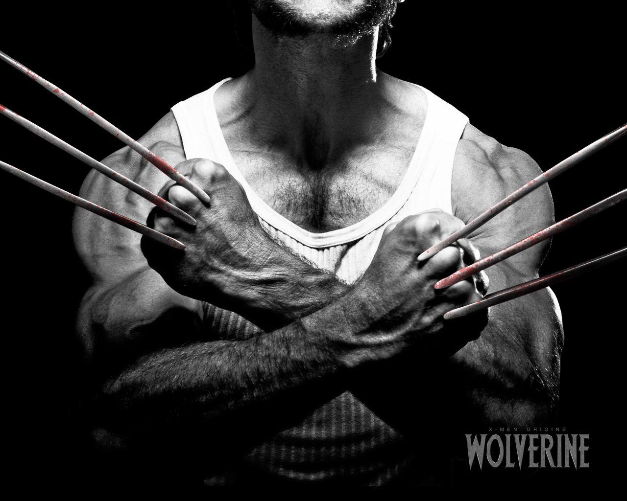 Wolverine Black and White Wallpapers - Top Free Wolverine Black and ...