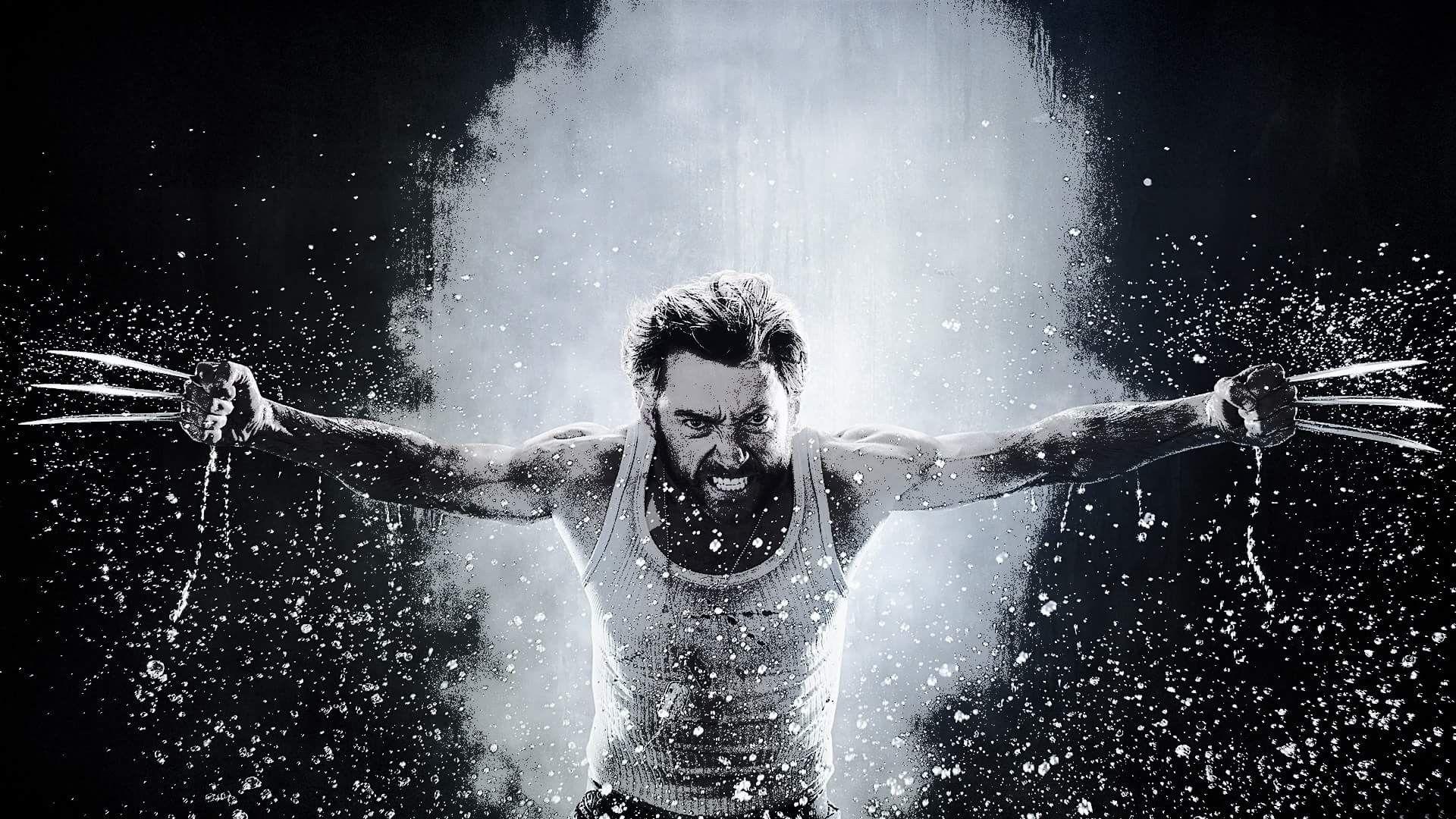 Wolverine Black and White Wallpapers - Top Free Wolverine Black and ...