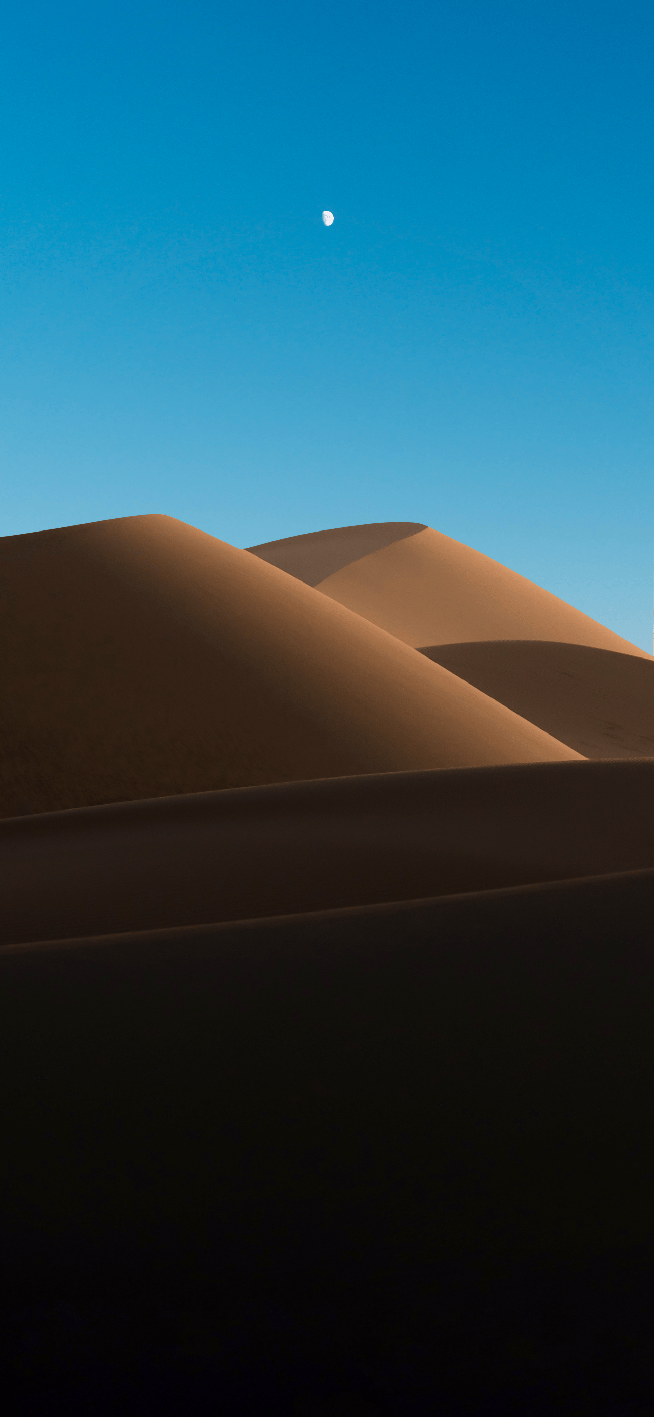 Dune Wallpapers - Top Free Dune Backgrounds - WallpaperAccess