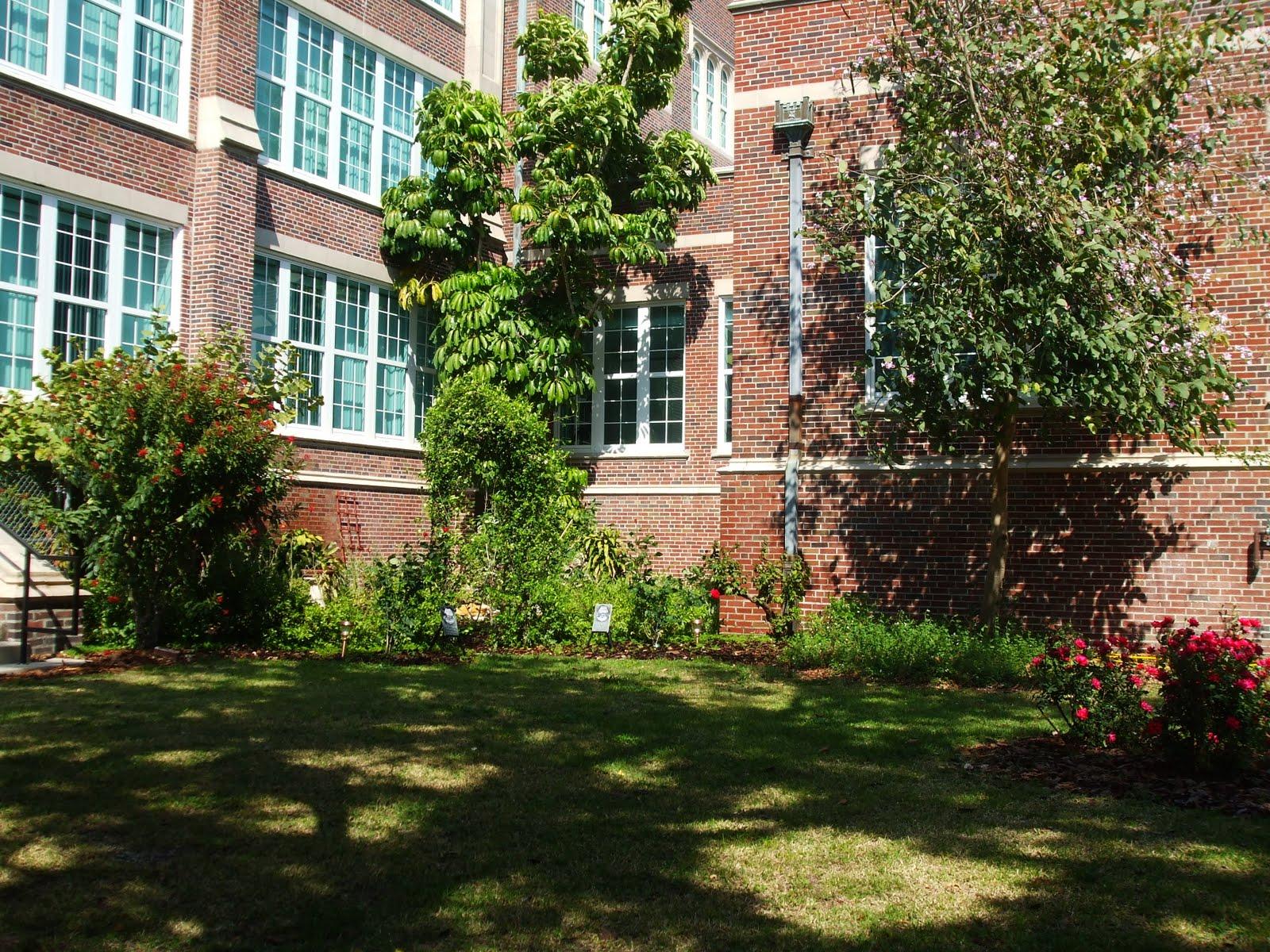 School Garden Wallpapers - Top Free School Garden Backgrounds ...