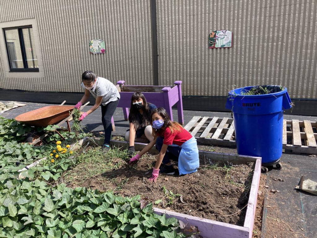 School Garden Wallpapers - Top Free School Garden Backgrounds ...