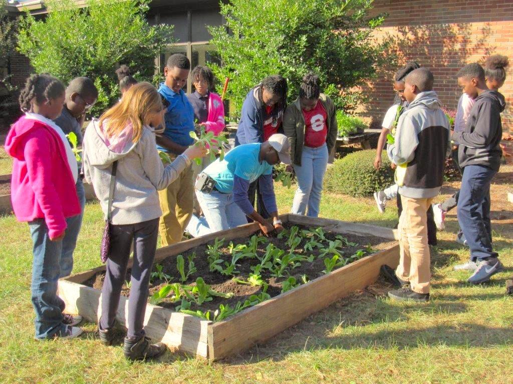 School Garden Wallpapers - Top Free School Garden Backgrounds ...