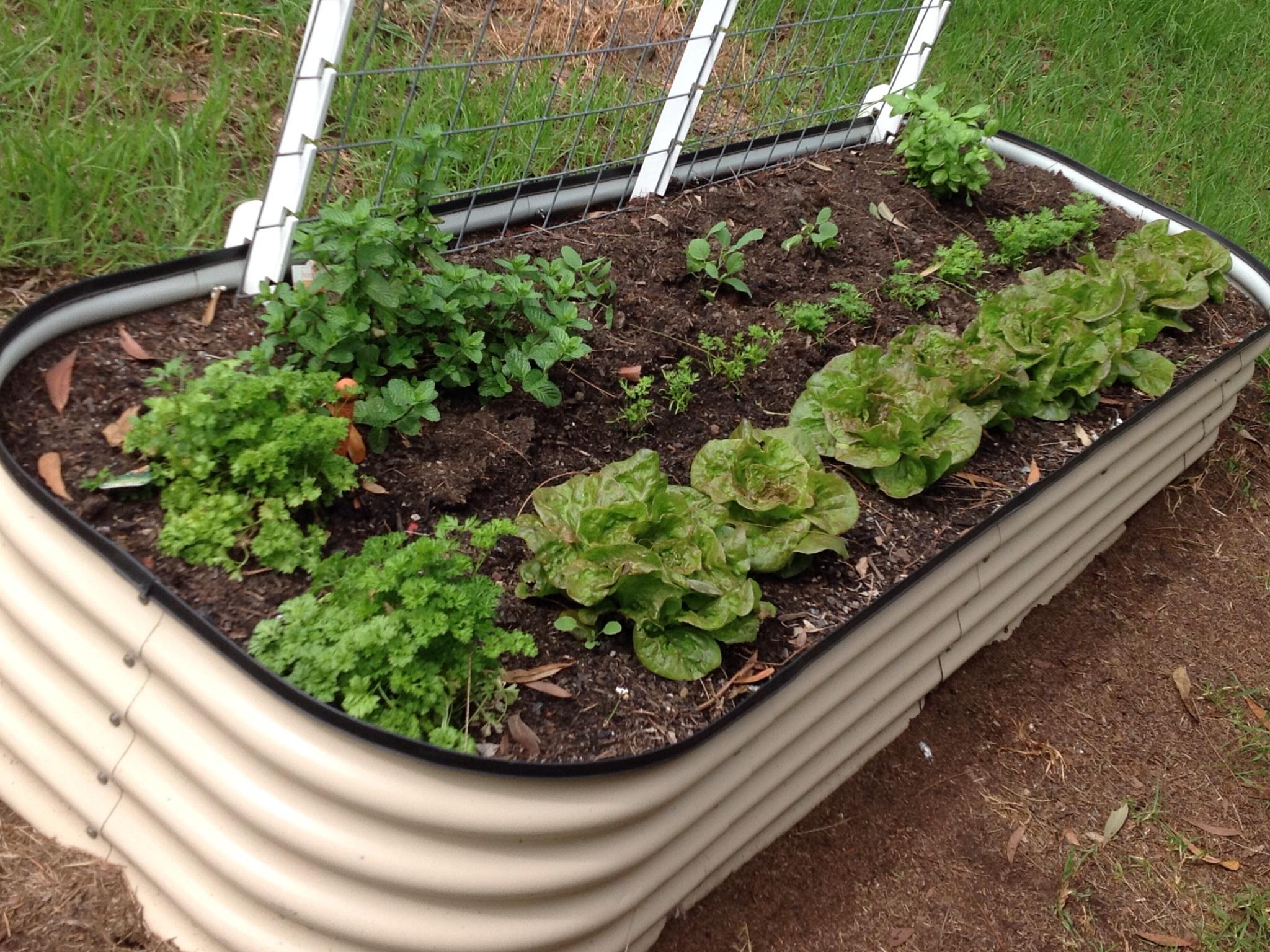 School Garden Wallpapers - Top Free School Garden Backgrounds ...