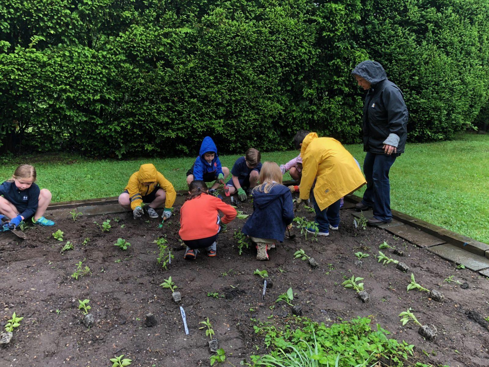 School Garden Wallpapers - Top Free School Garden Backgrounds ...