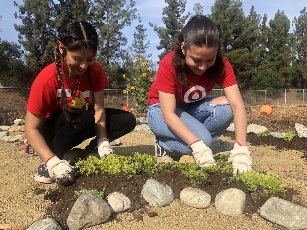 School Garden Wallpapers - Top Free School Garden Backgrounds ...