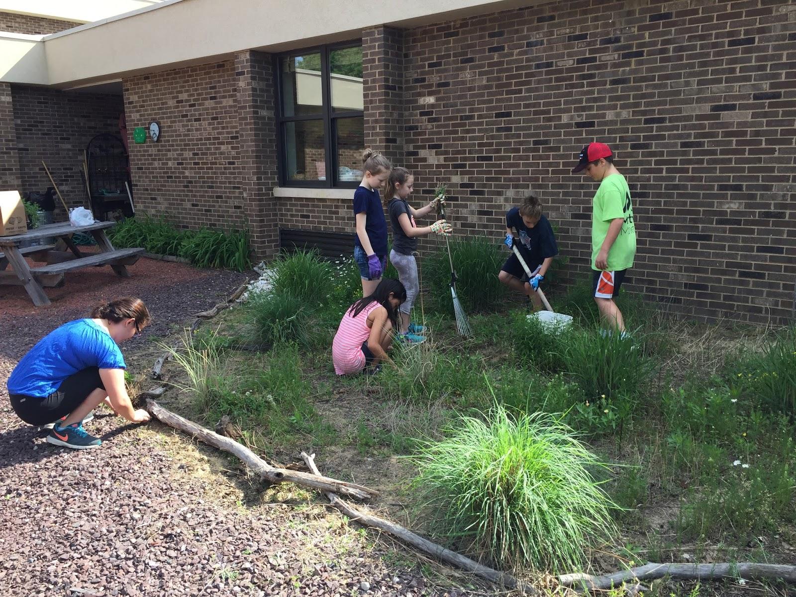 School Garden Wallpapers - Top Free School Garden Backgrounds ...