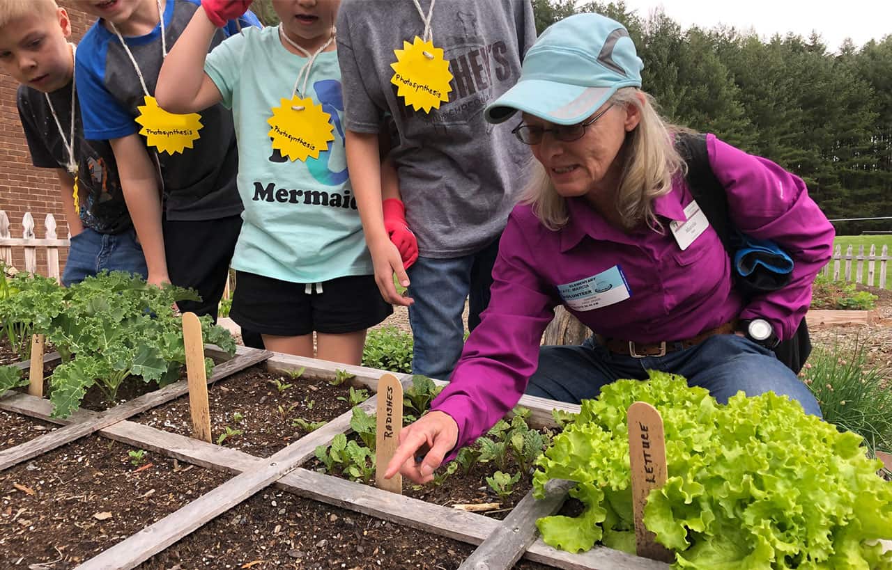 School Garden Wallpapers - Top Free School Garden Backgrounds ...