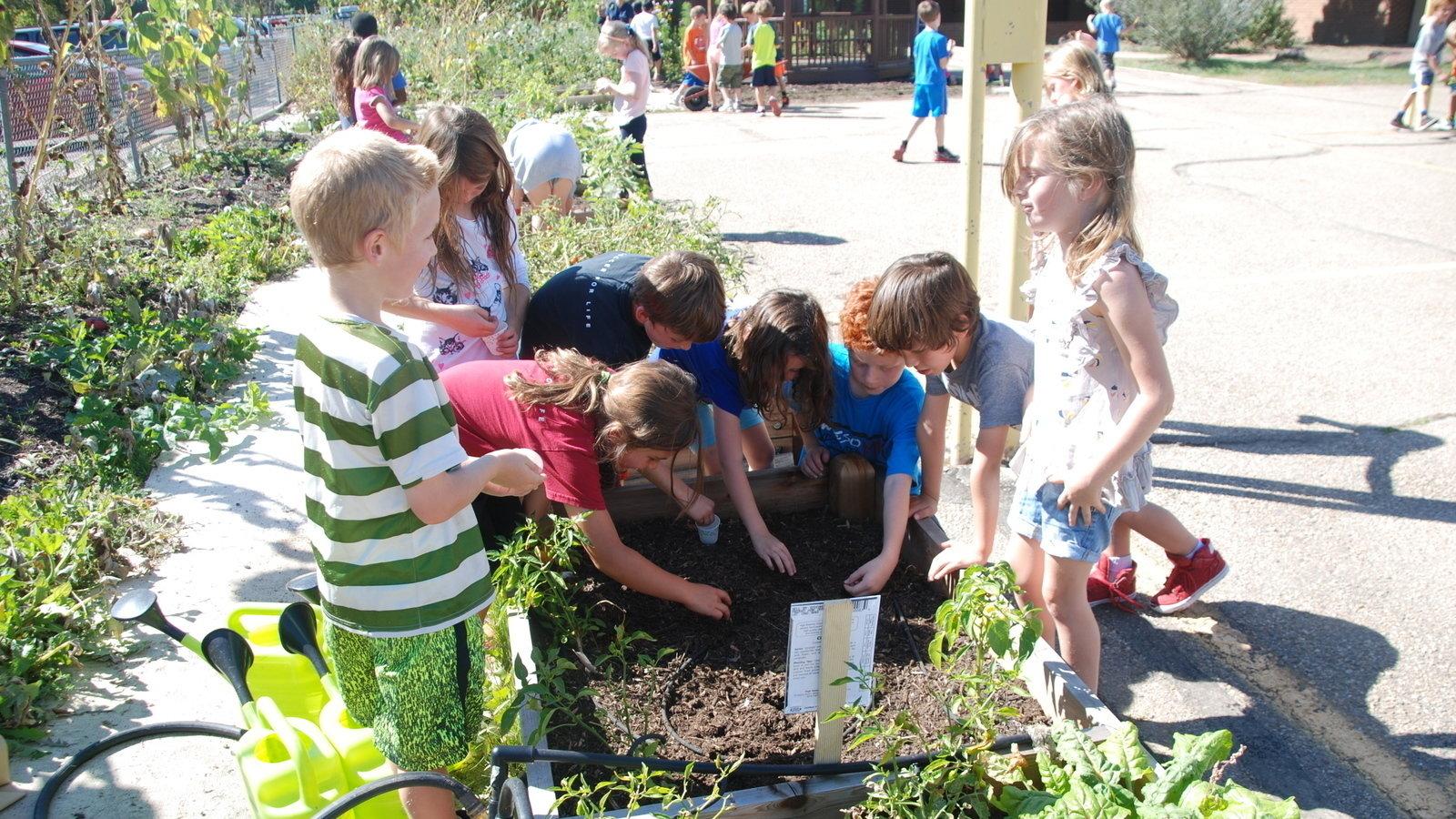 School Garden Wallpapers - Top Free School Garden Backgrounds ...