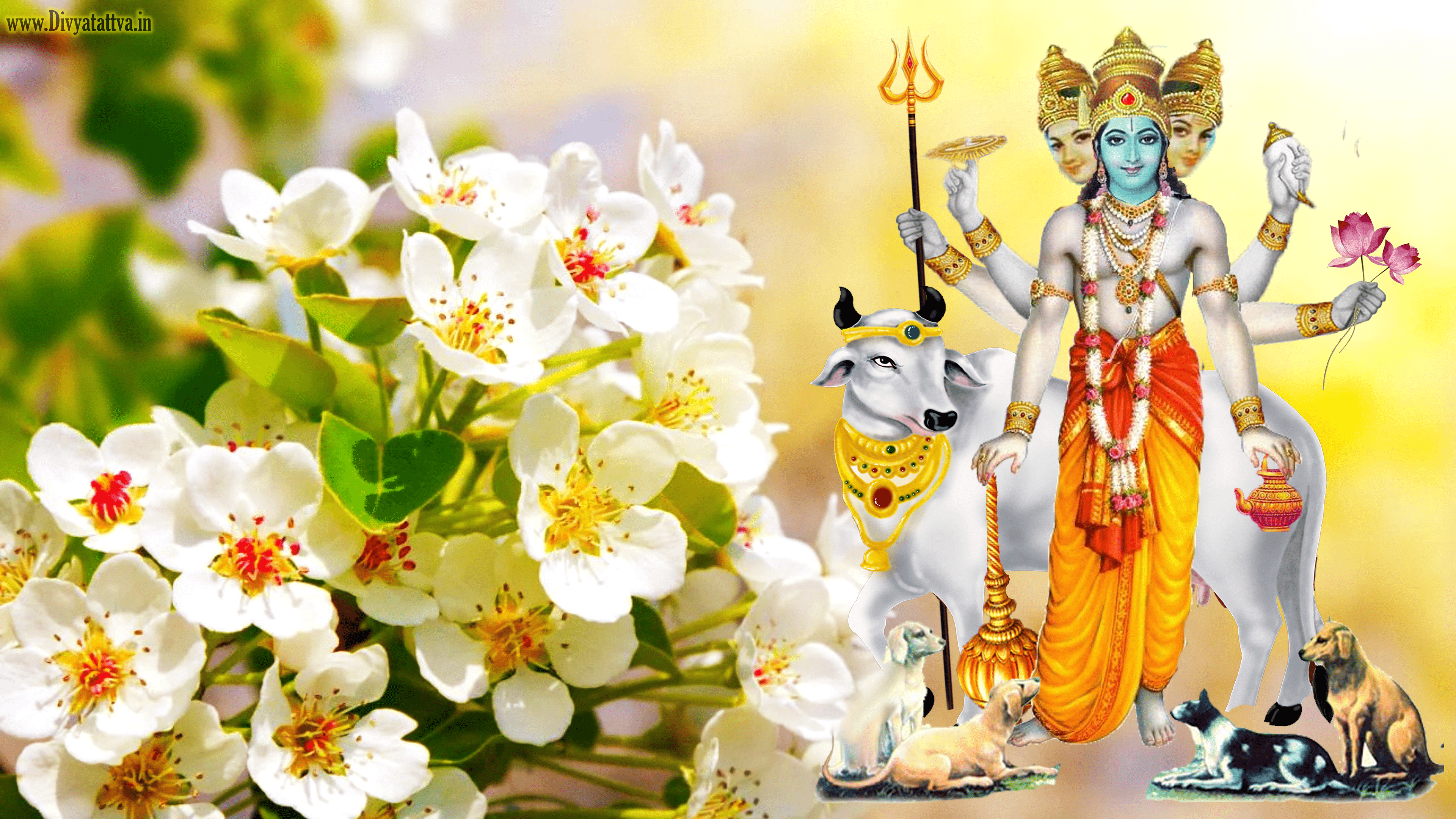 Dattaguru Wallpapers - Top Free Dattaguru Backgrounds - WallpaperAccess