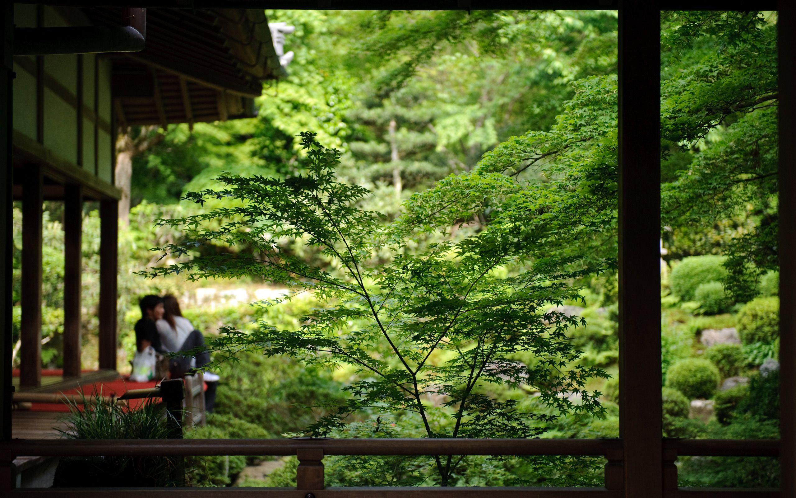 Serene Desktop Wallpapers - Top Free Serene Desktop Backgrounds ...