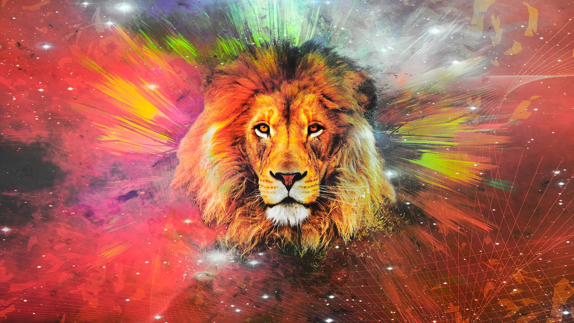 Galaxy Animals Wallpapers - Top Free Galaxy Animals Backgrounds ...
