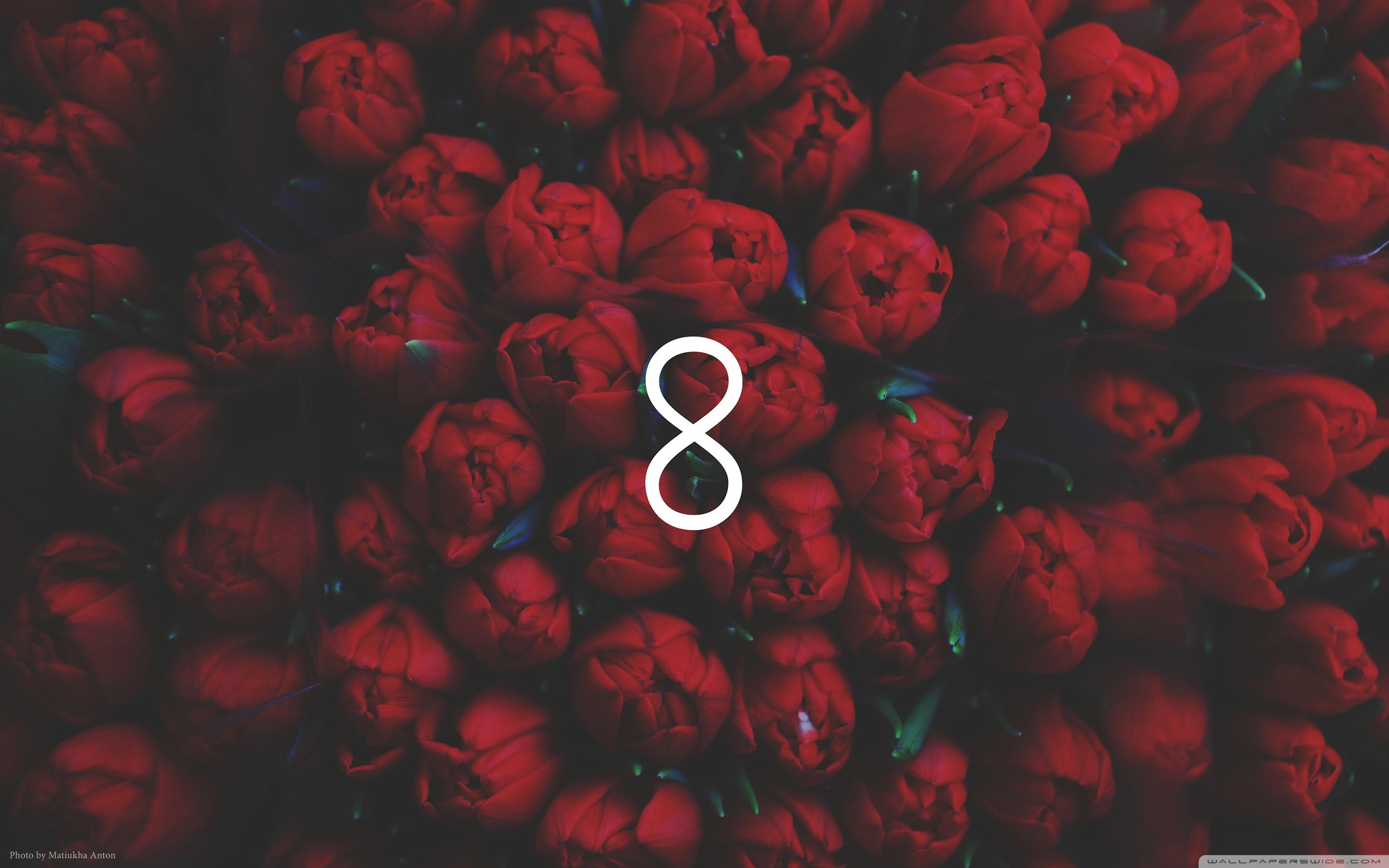 8th March Wallpapers - Top Free 8th March Backgrounds - WallpaperAccess