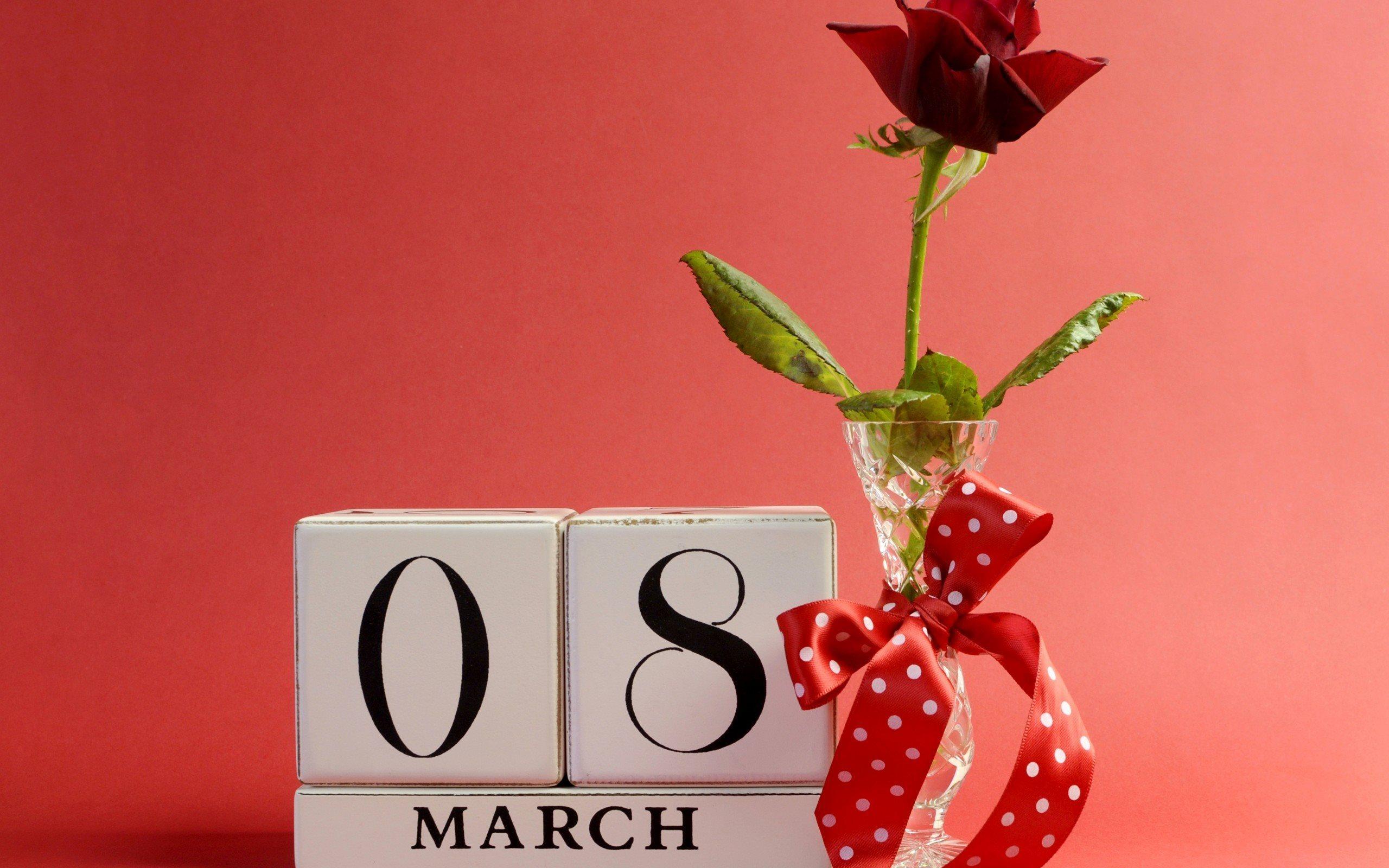 8th March Wallpapers - Top Free 8th March Backgrounds - WallpaperAccess