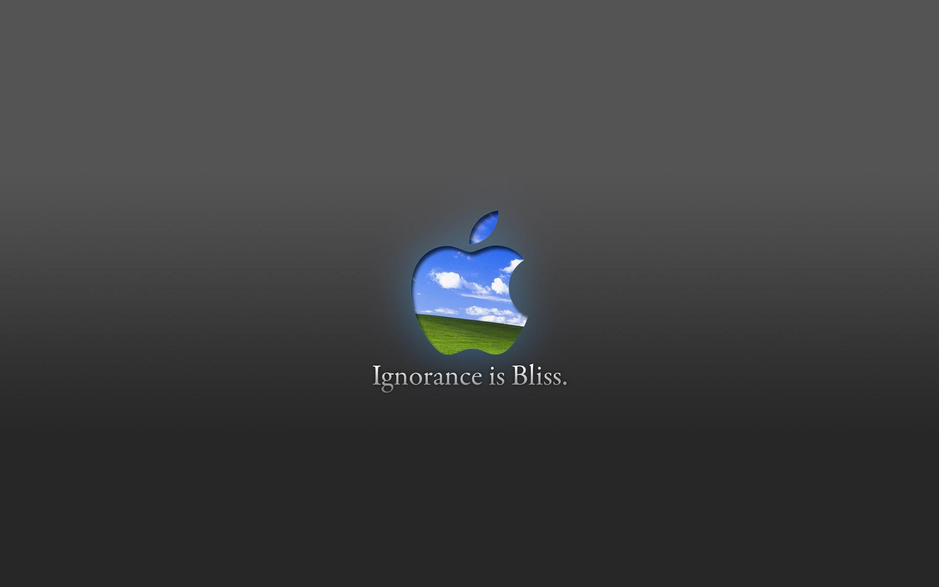 Apple Windows Wallpapers - Top Free Apple Windows Backgrounds ...