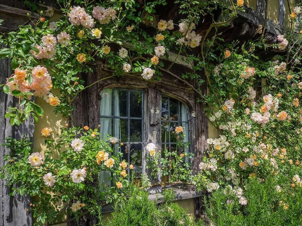 Cottagecore Laptop Wallpapers - Top Free Cottagecore Laptop Backgrounds ...