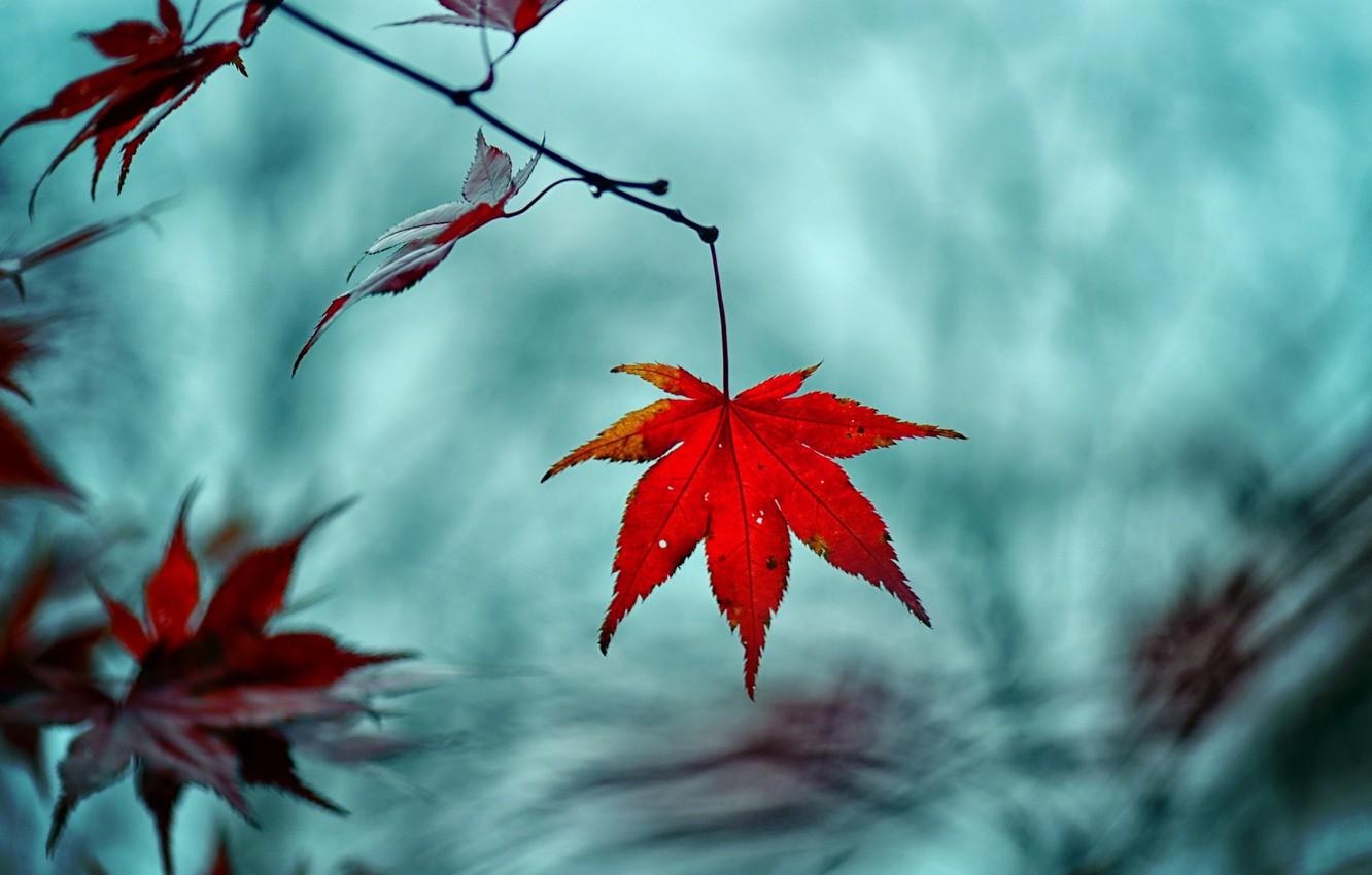 1010! Wallpapers - Top Free 1010! Backgrounds - WallpaperAccess