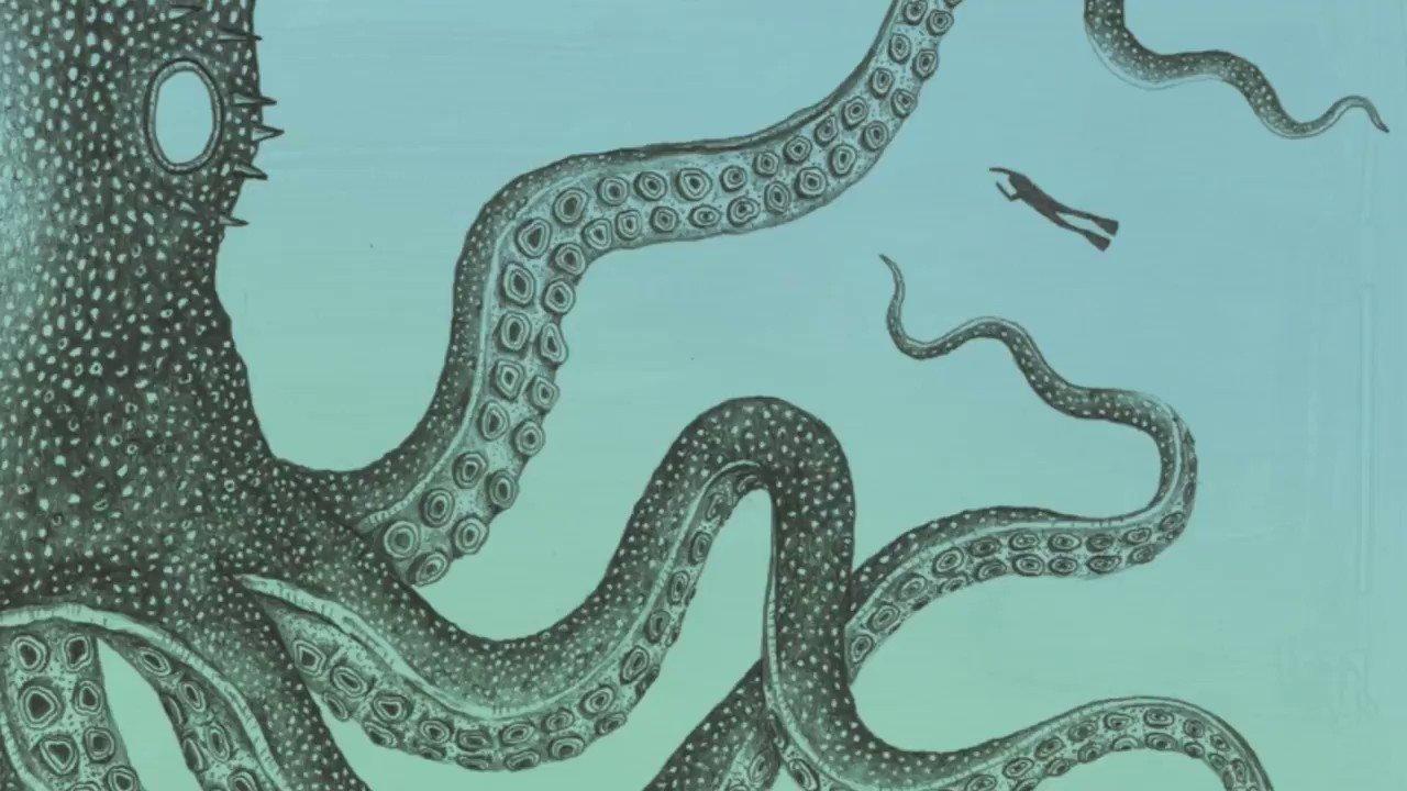 Sleep Band Wallpapers - Top Free Sleep Band Backgrounds - WallpaperAccess