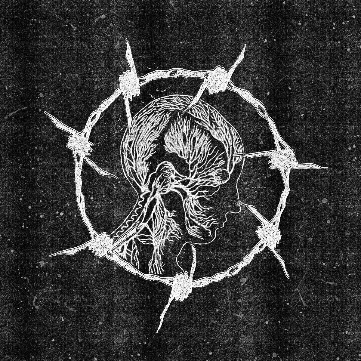 Sleep Band Wallpapers - Top Free Sleep Band Backgrounds - WallpaperAccess