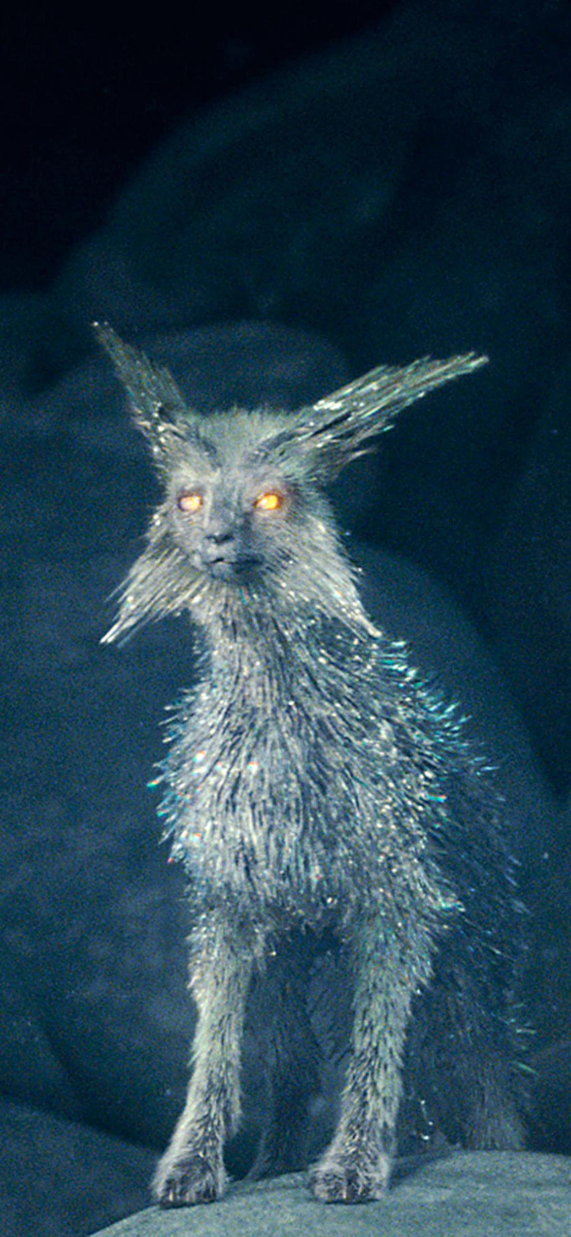 Porg Star Wars Wallpapers - Top Free Porg Star Wars Backgrounds ...