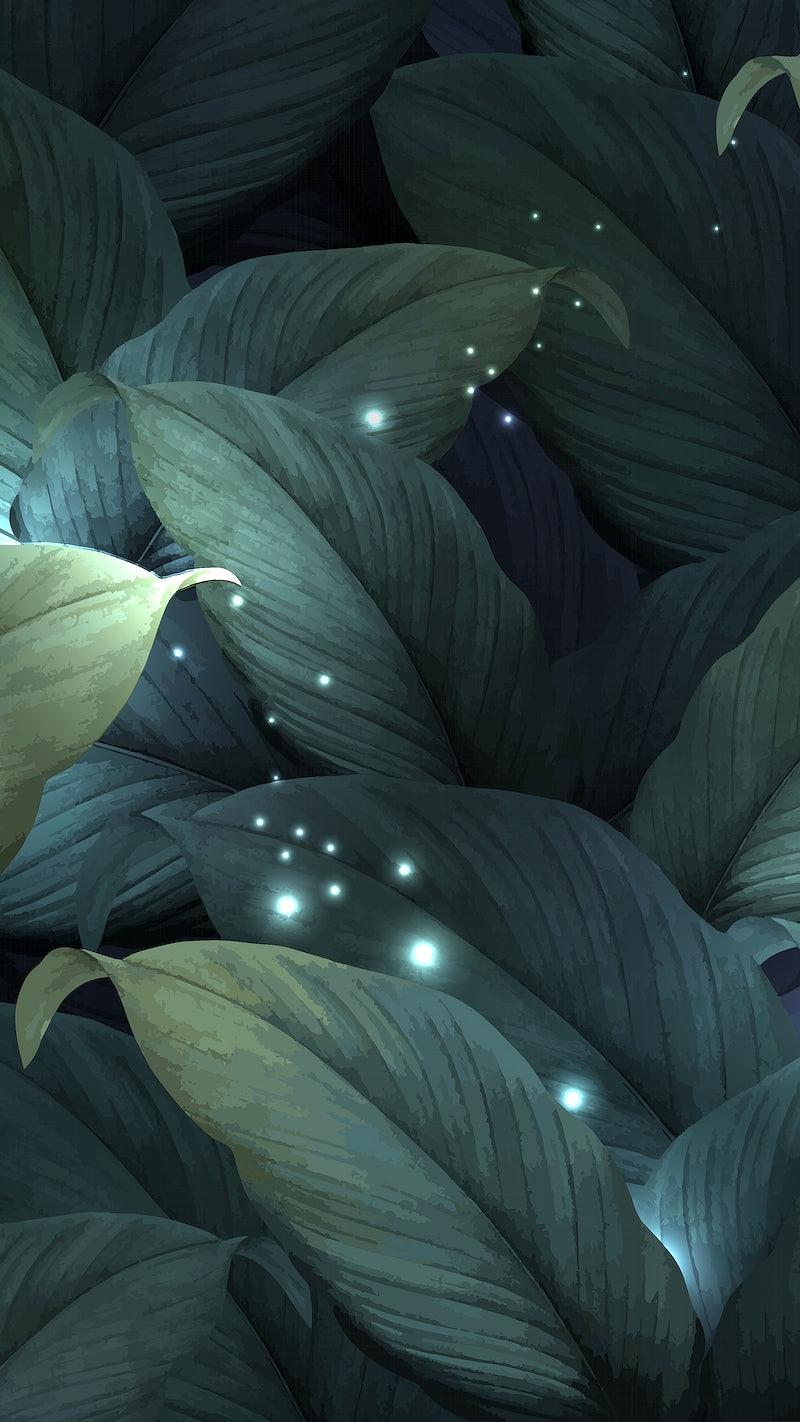 Beautiful iPhone HD Wallpapers - Top Free Beautiful iPhone HD ...