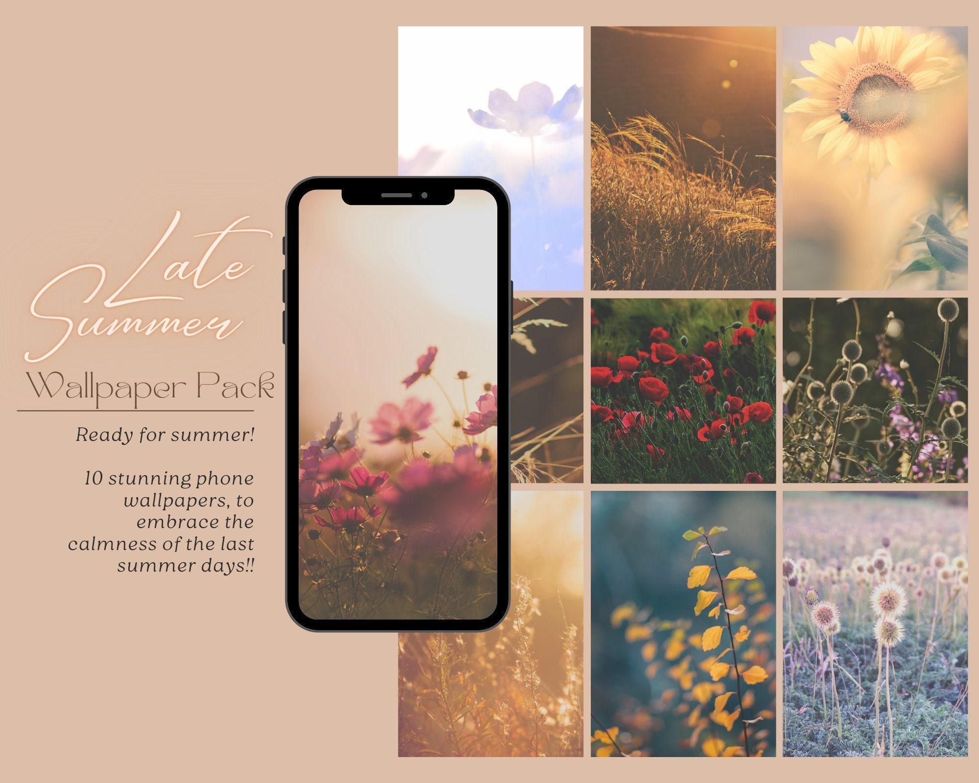 Late Summer Flowers Wallpapers - Top Free Late Summer Flowers ...