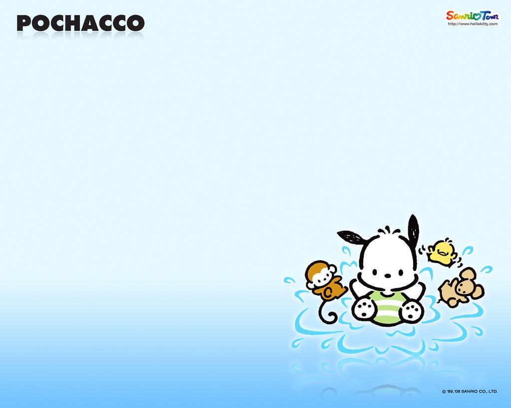Pochacoo Wallpapers - Top Free Pochacoo Backgrounds - WallpaperAccess