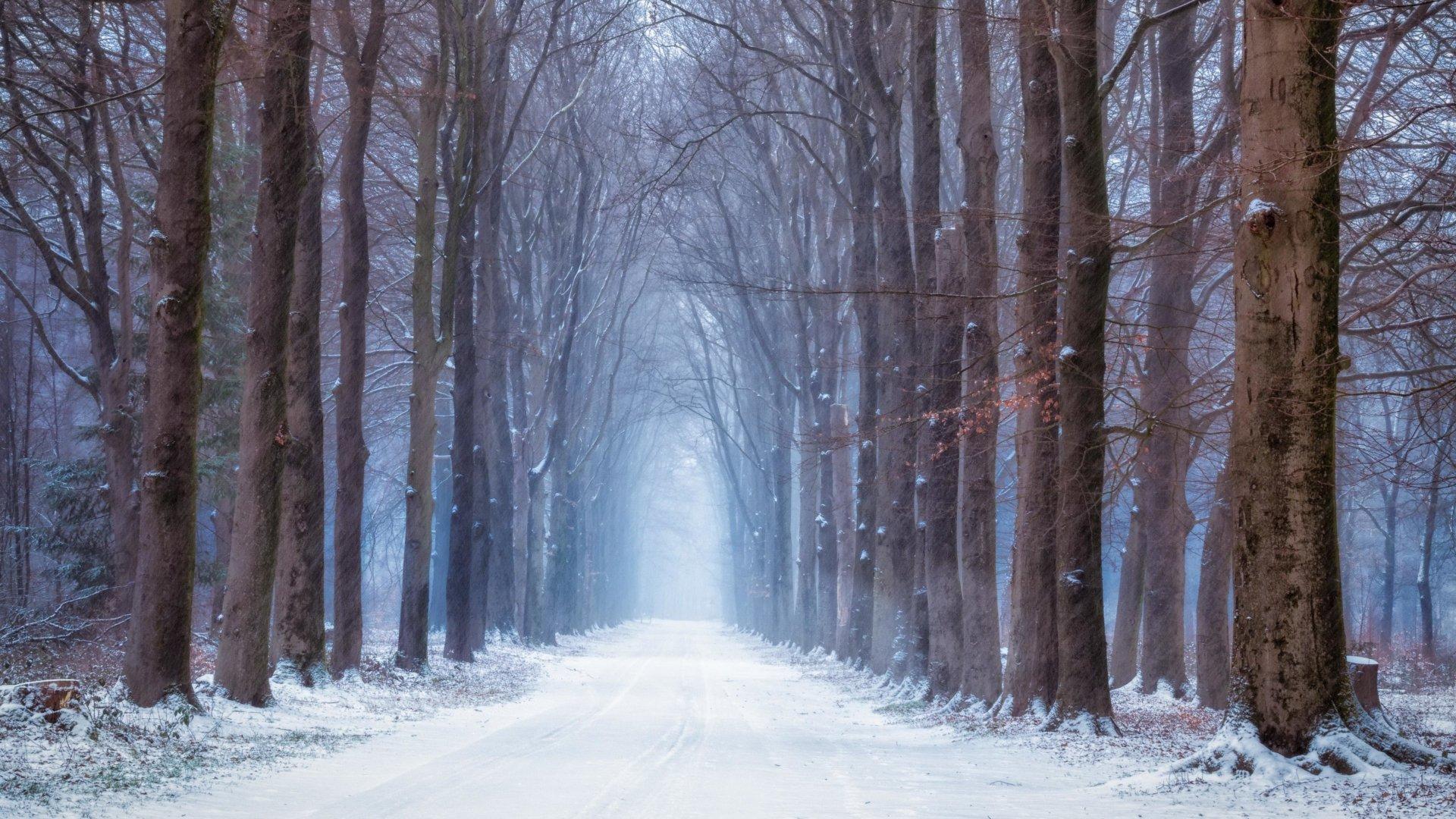 Winter Sonata Wallpapers - Top Free Winter Sonata Backgrounds ...